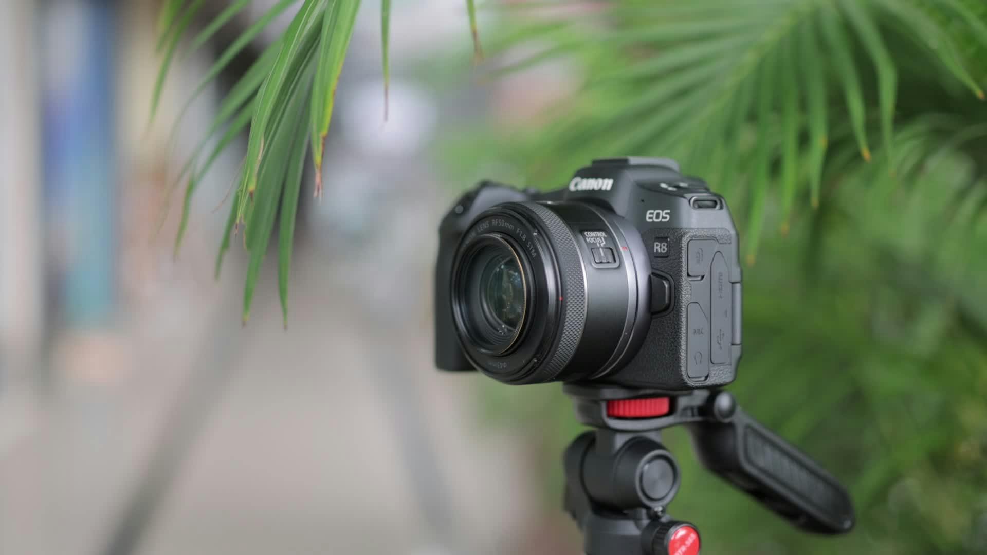 Professional Camera Setup on Gimbal Indoors Free Stock Video Footage ...