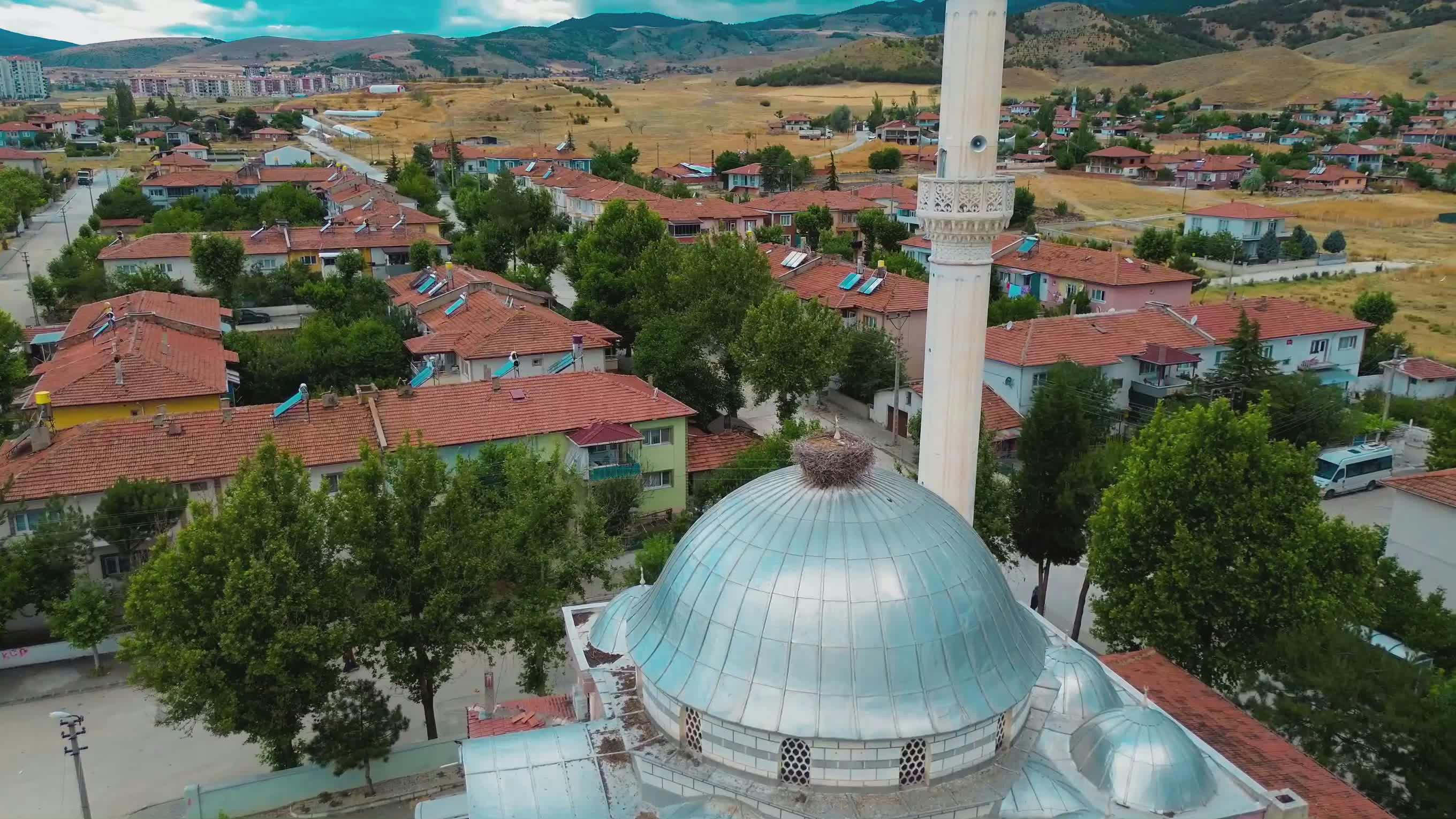 Veronica+Silesto+And+Her+Dog+In+A+Beastly+Video Videos, Download The ...