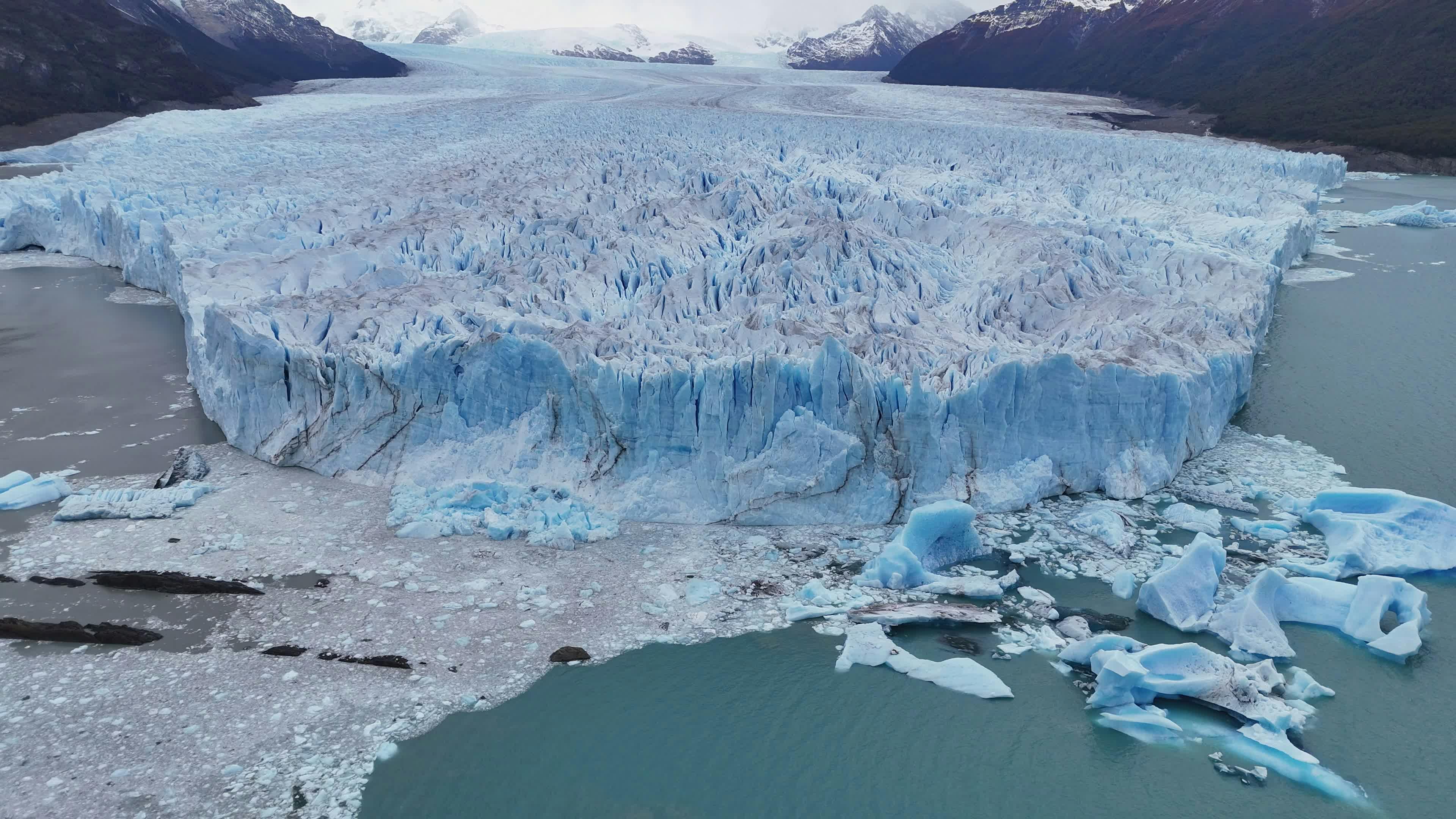 Classification Of Ecosystem Videos, Download The BEST Free 4k Stock ...