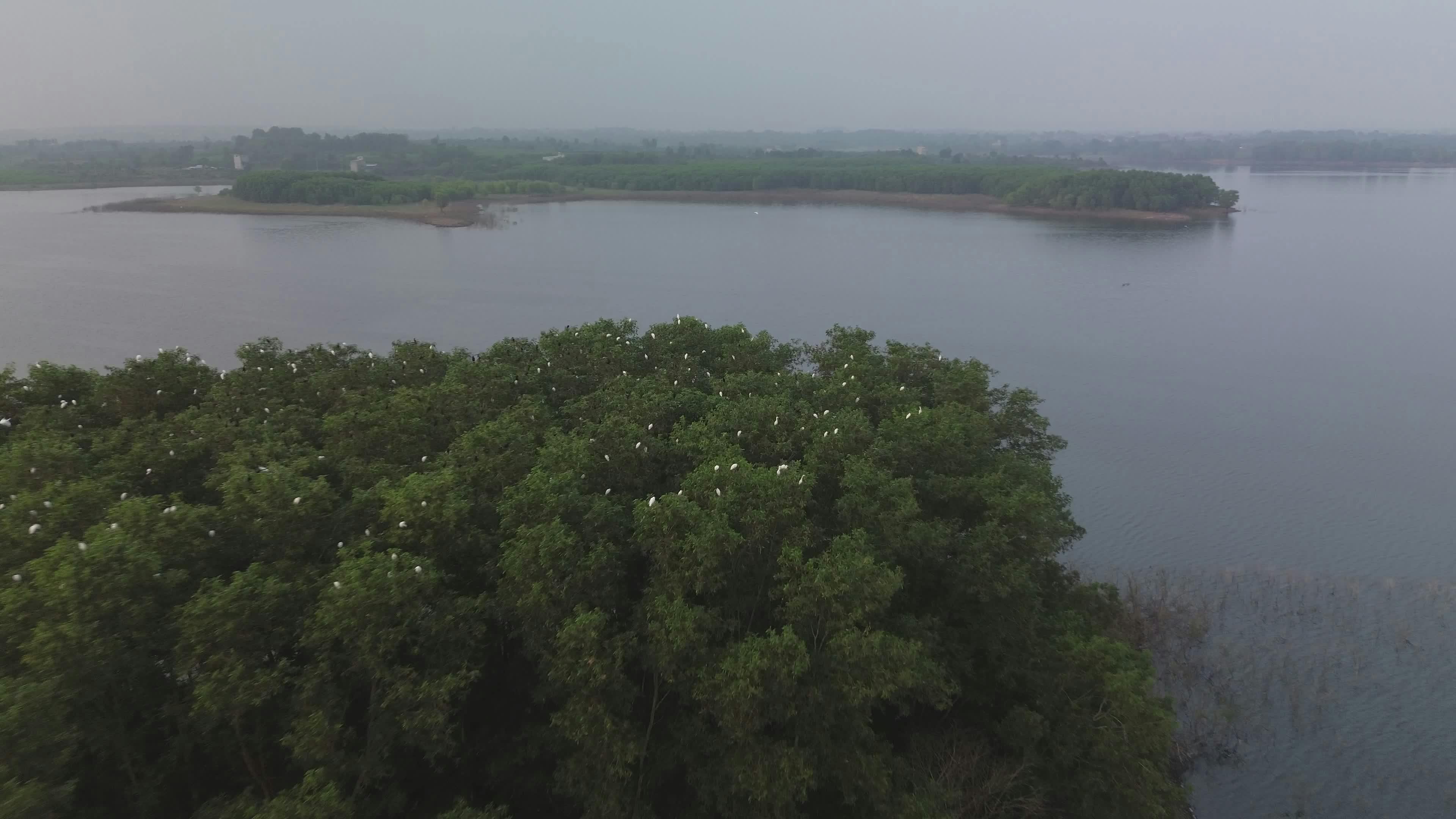 Scape Nerd Videos, Download The BEST Free 4k Stock Video Footage ...