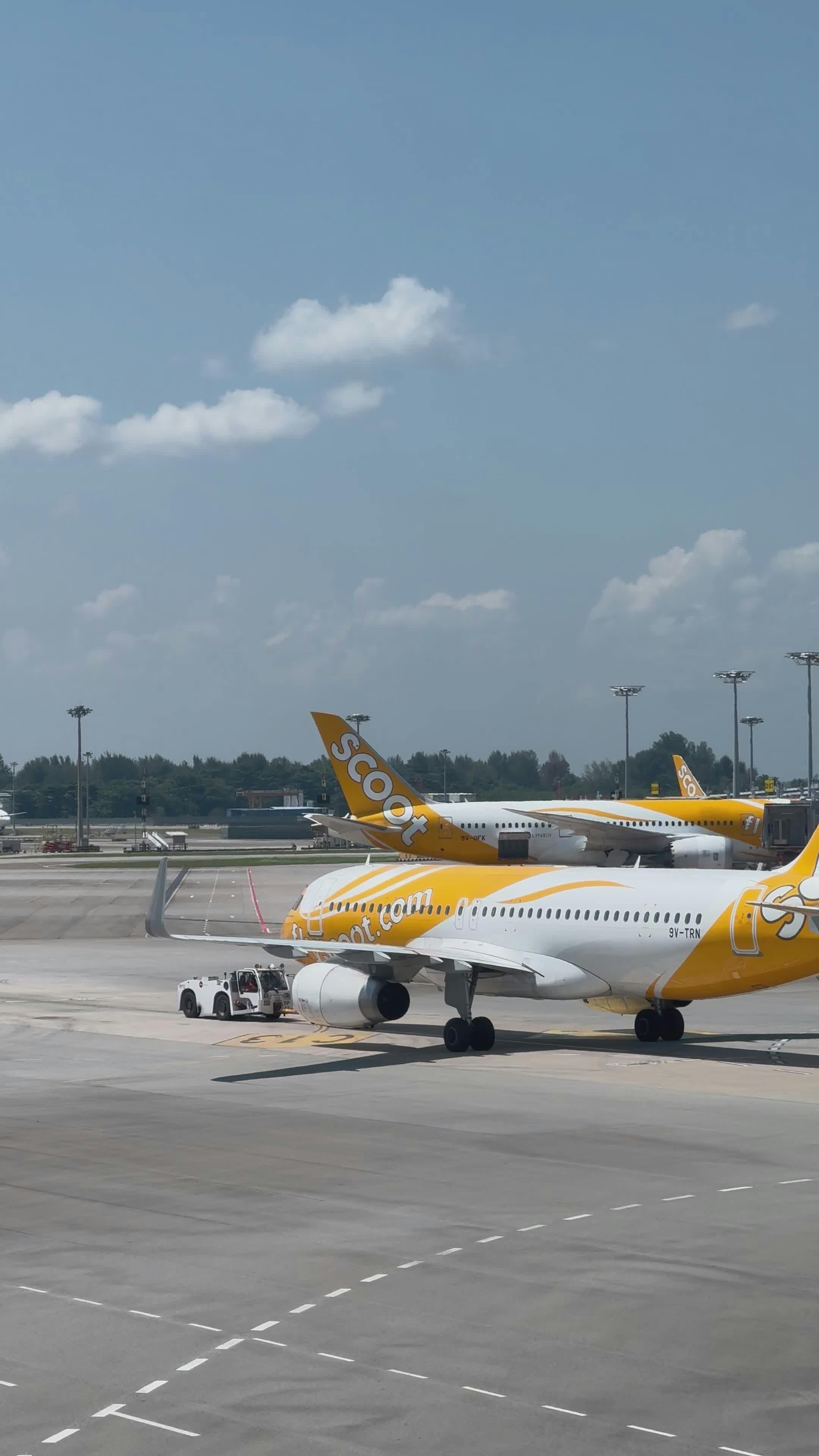 Travel Flight Videos, Download The BEST Free 4k Stock Video Footage ...