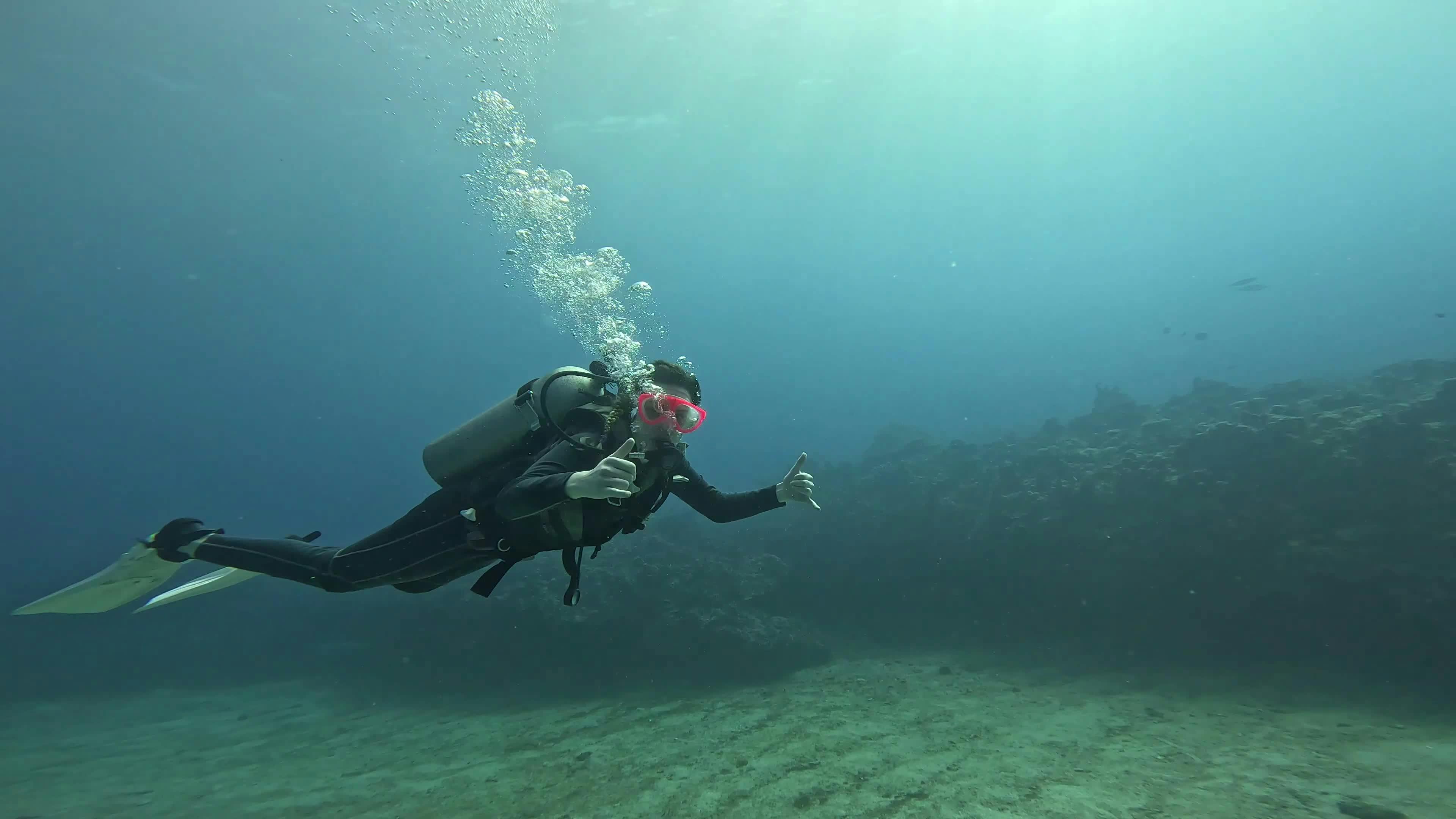 Underwater Scuba Diving Adventure in Vibrant Ocean Free Stock Video ...