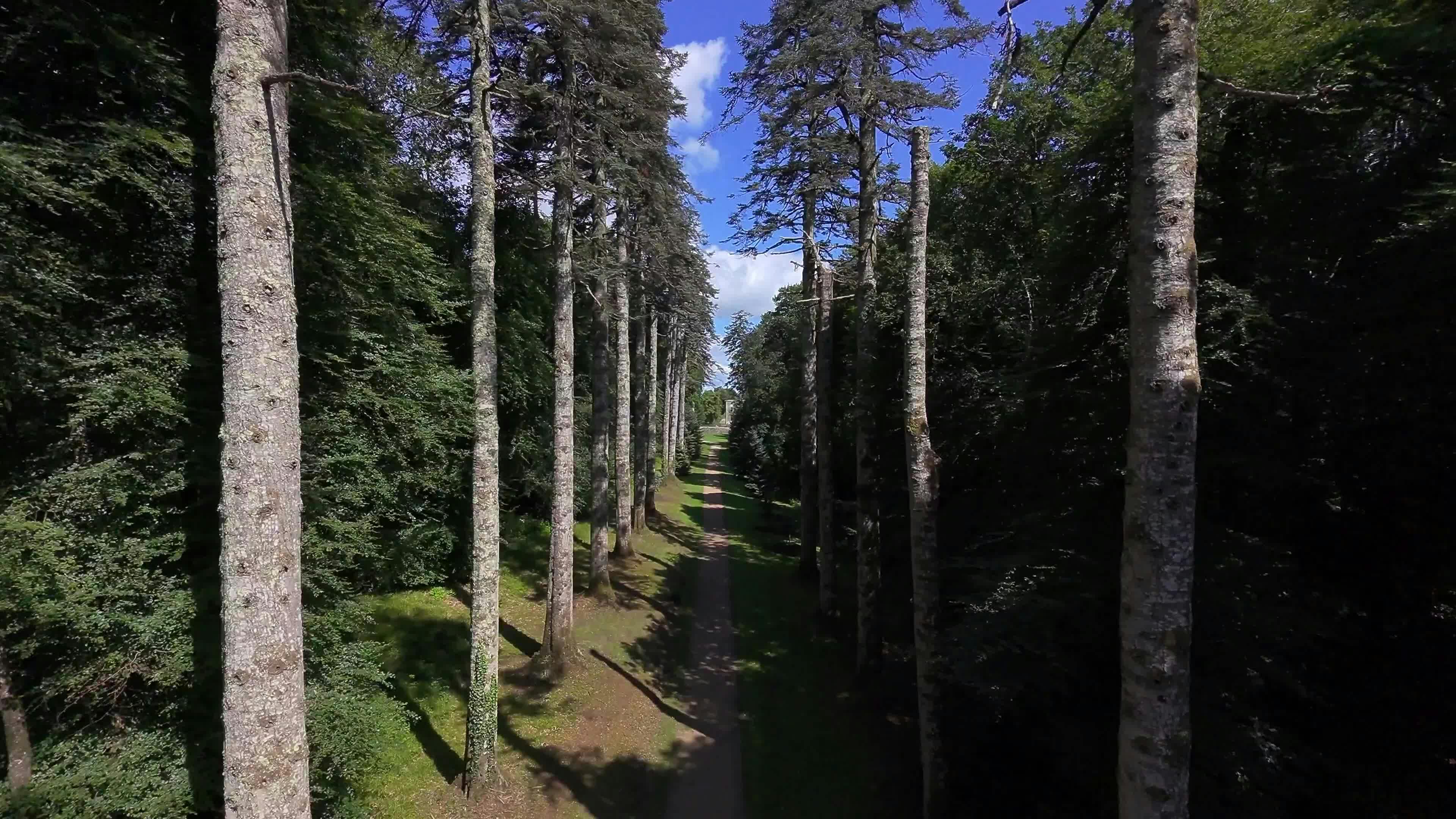 Environment Day 4k Videos, Download The BEST Free 4k Stock Video ...