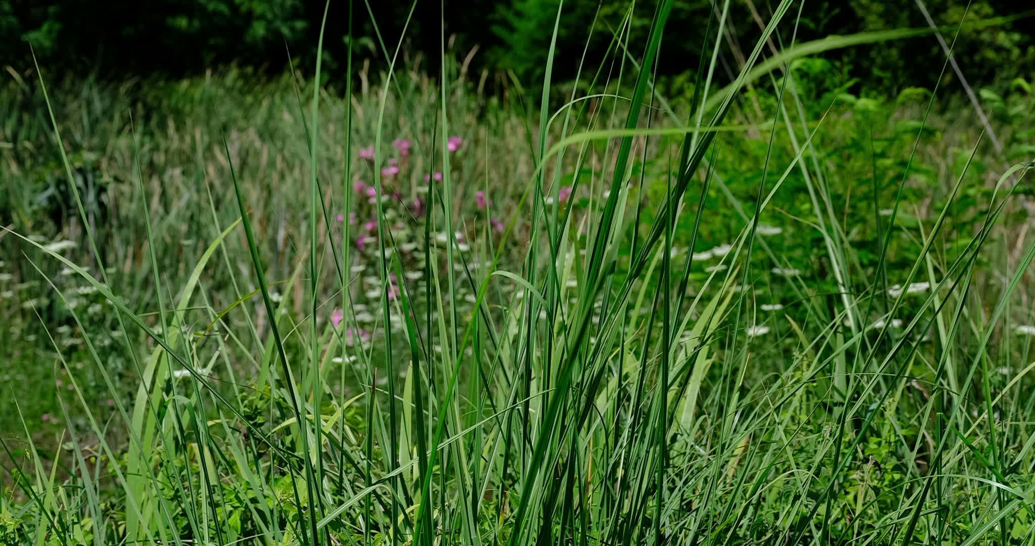 Background Gredient Color Videos, Download The BEST Free 4k Stock Video ...