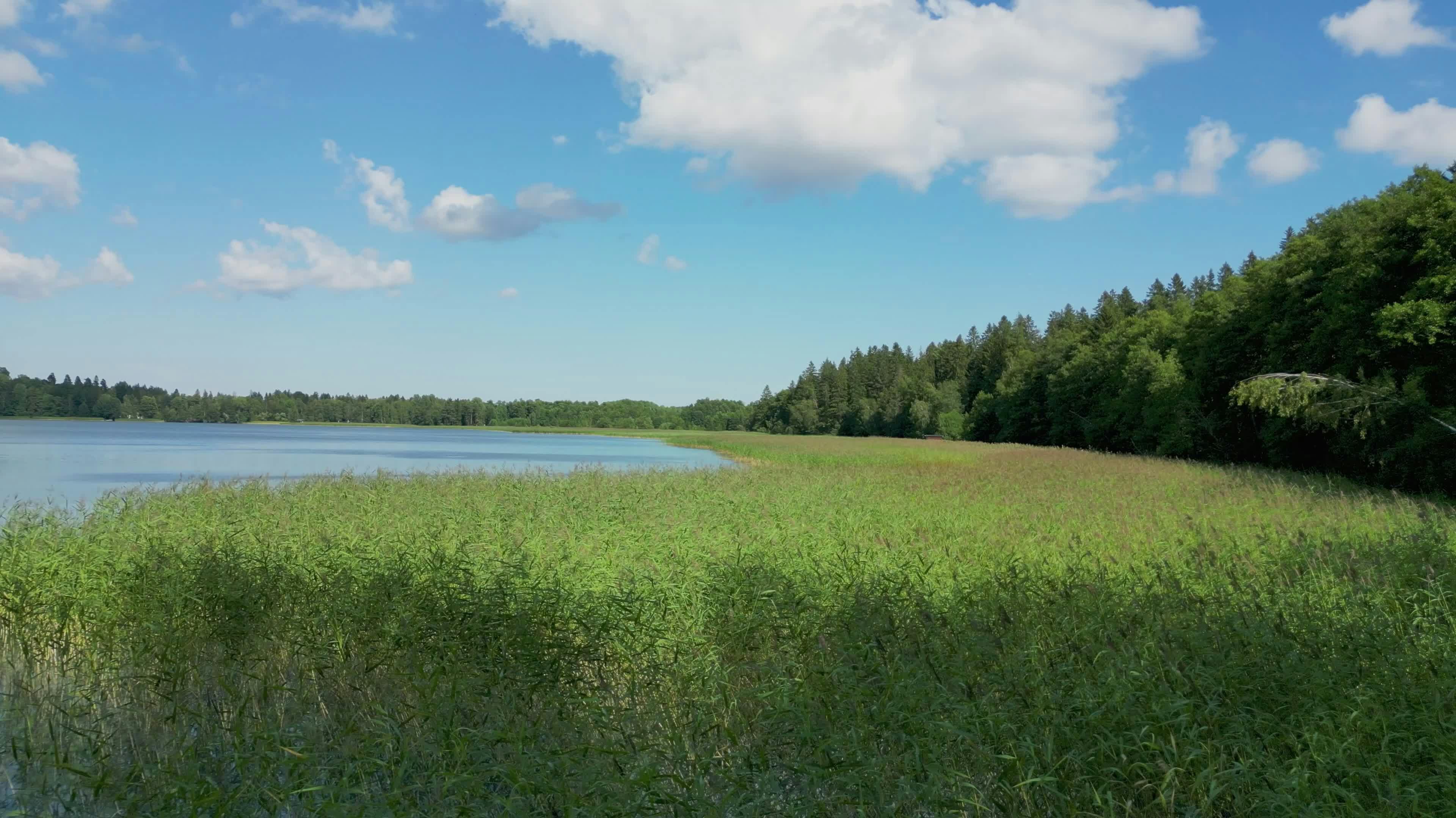 Videos+Of+Young+Japense+Girls+Wearing+Tights+Giving+Foot+Jobs Videos ...