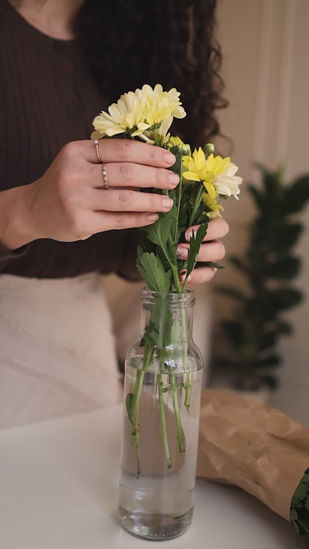 Flower Arrangement Videos, Download The BEST Free 4k Stock Video ...