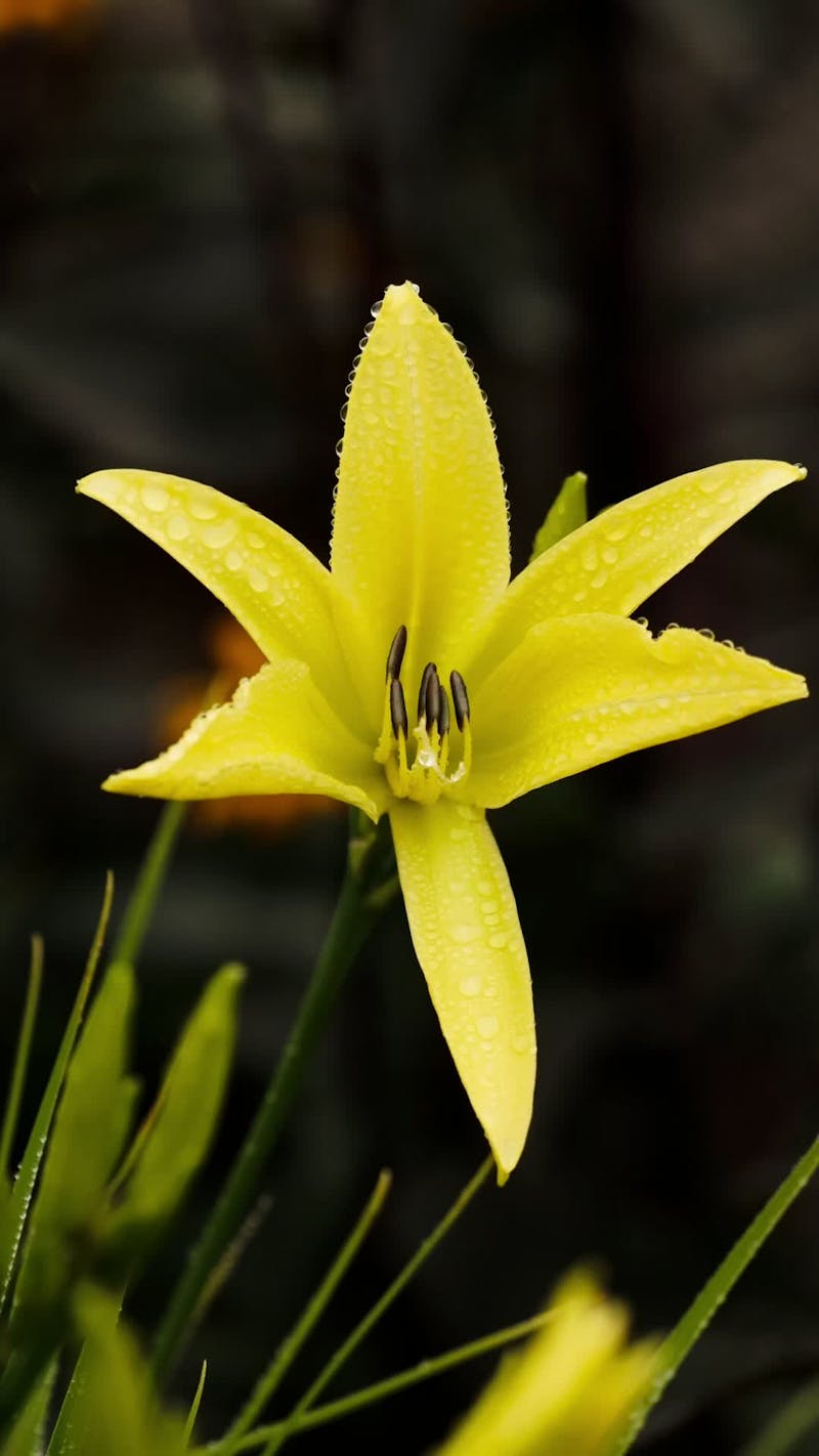 400,000+个最精彩的“B2c5按不出按不出12345+abc的吧一天”视频 · 100%免费下载 · Pexels素材视频