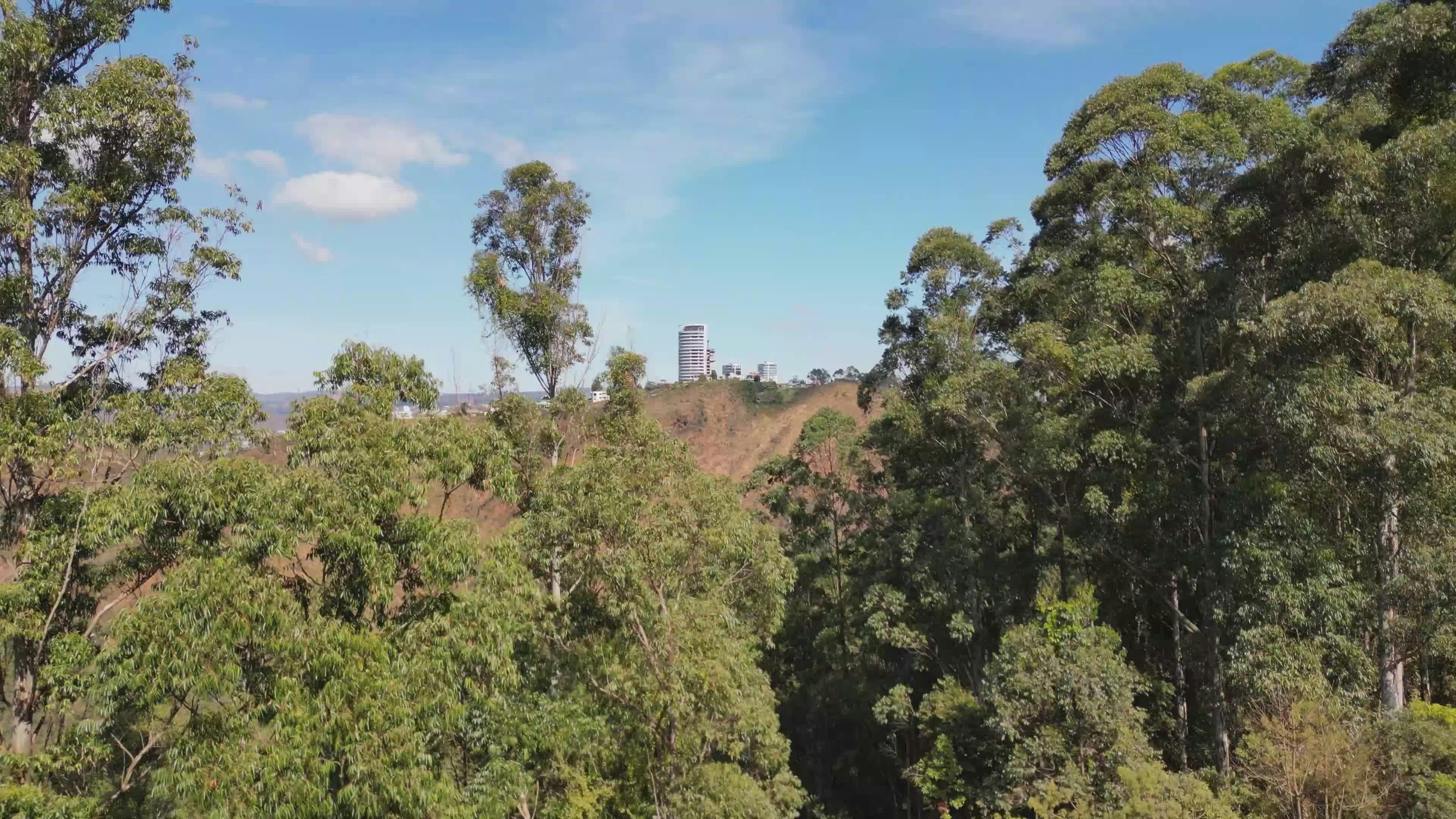 Metropolitan Environment Videos, Download The BEST Free 4k Stock Video ...