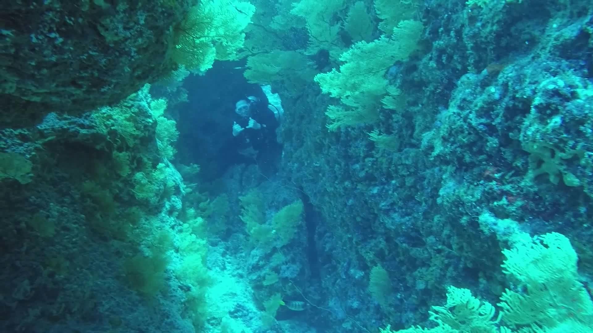 Ocean Diving Videos, Download The BEST Free 4k Stock Video Footage ...