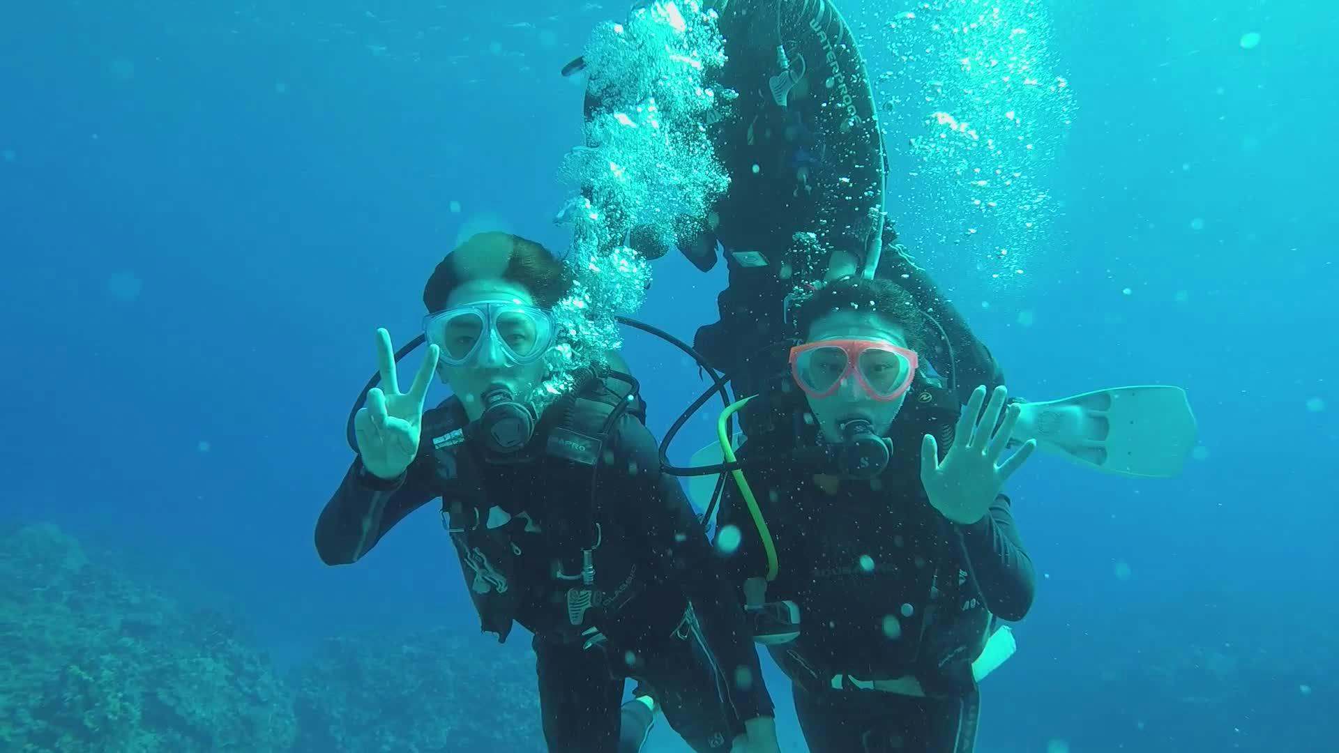 Underwater Adventure with Scuba Divers in Coral Reef Free Stock Video ...