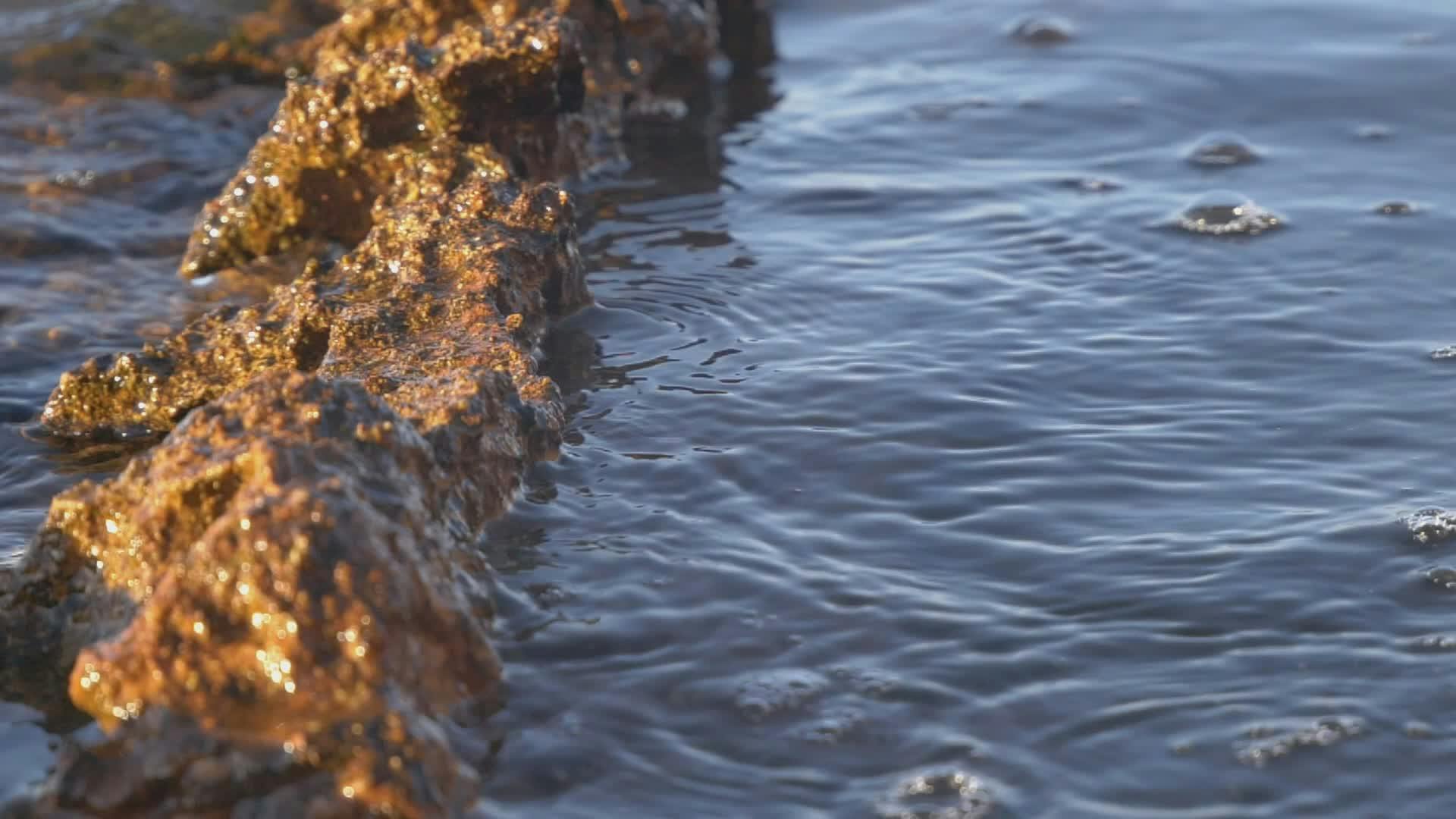 Gouden Texture Videos, Download The BEST Free 4k Stock Video Footage ...