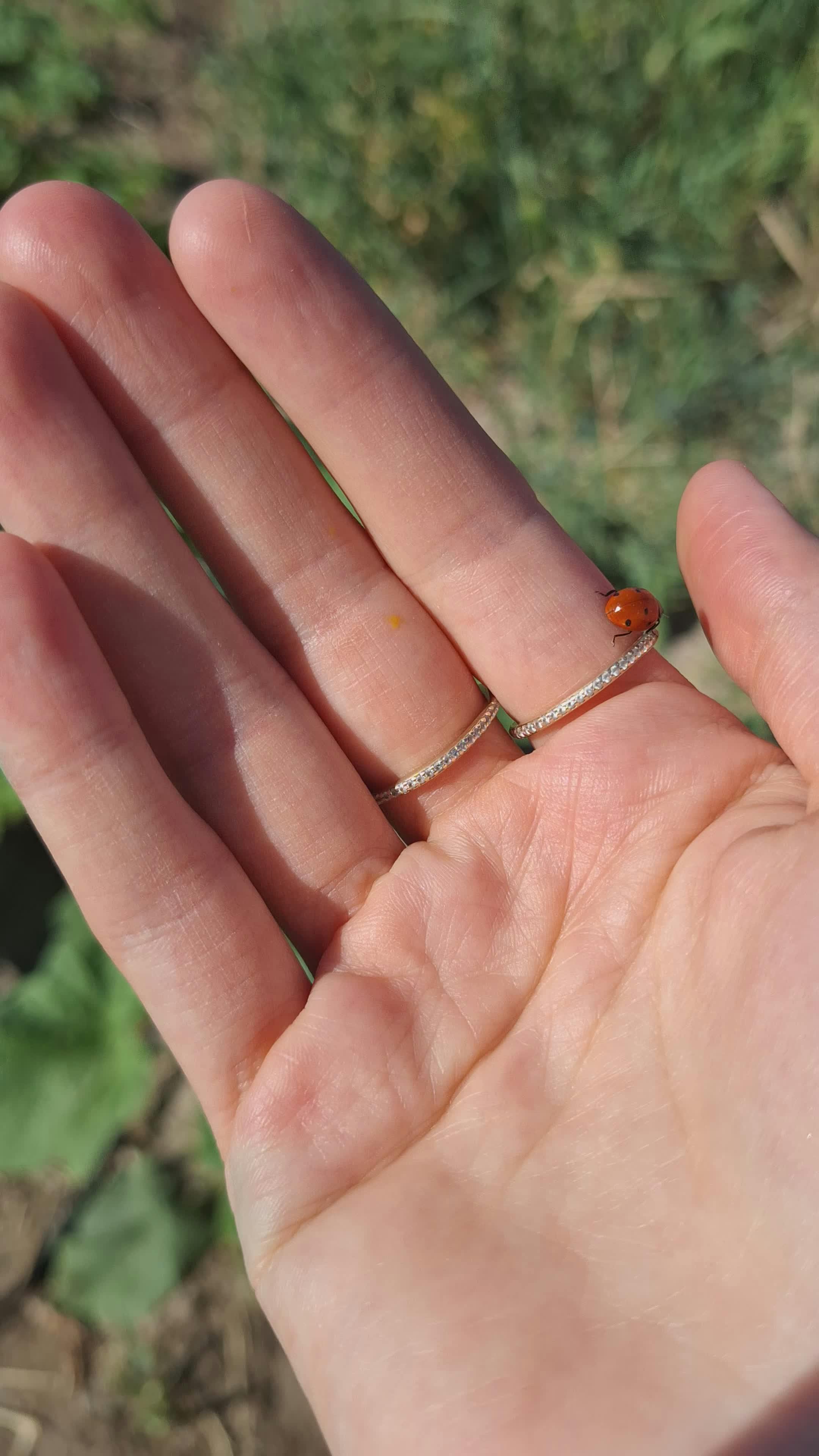 Tsc Background Videos, Download The BEST Free 4k Stock Video Footage ...