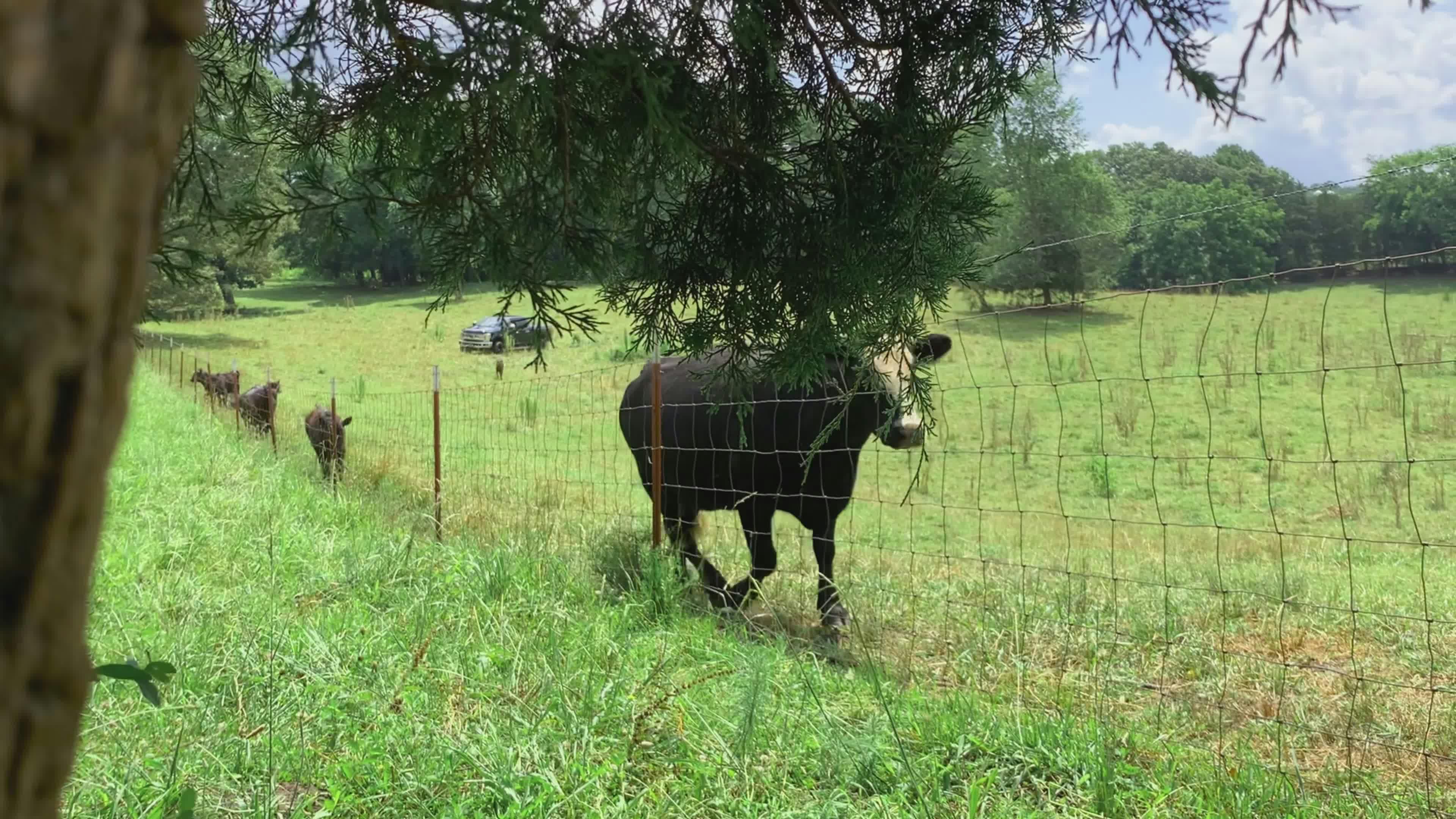 Black+Twerk+Compilation Videos, Download The BEST Free 4k Stock Video ...