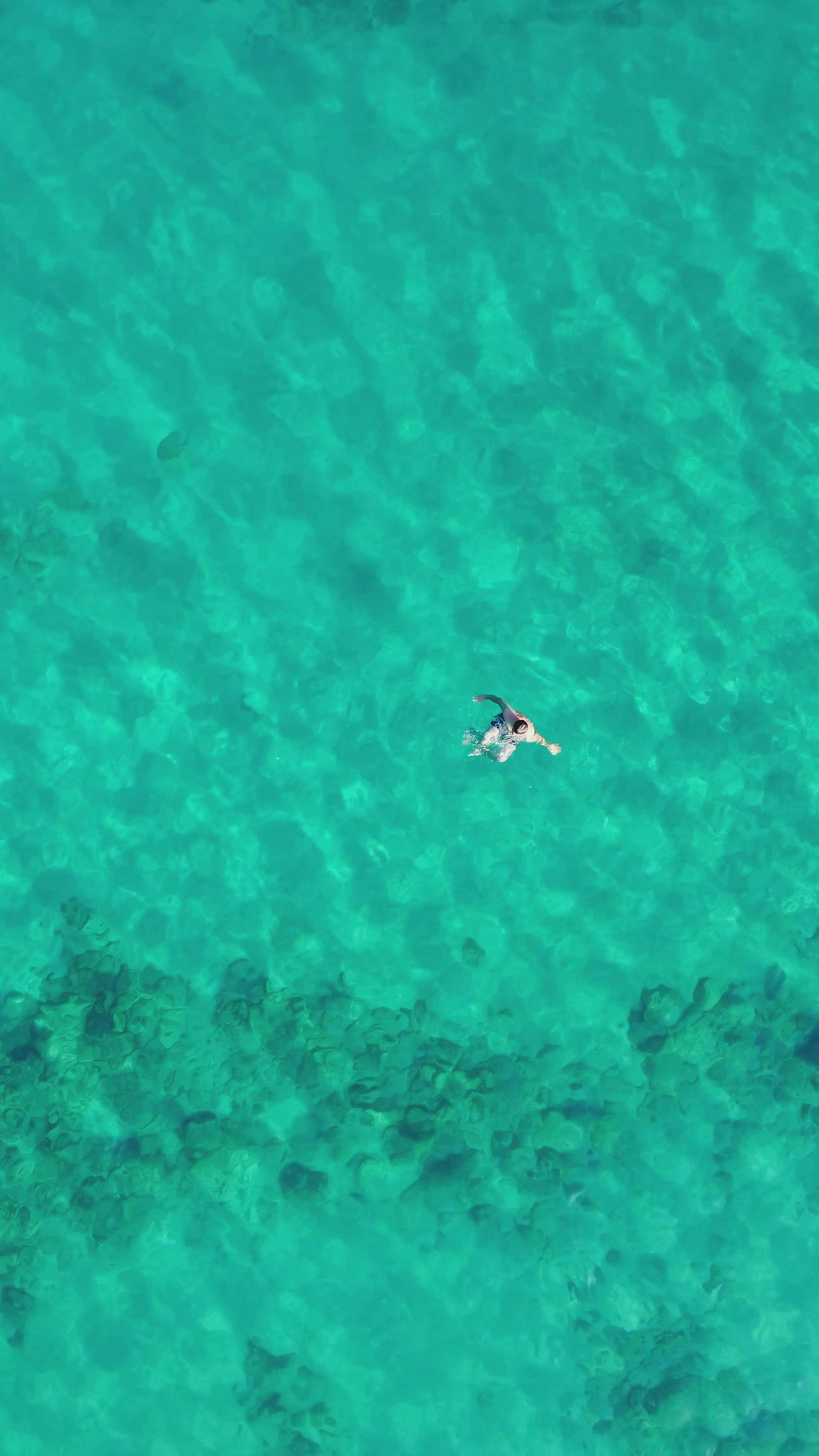 Unsplash Video Videos, Download The BEST Free 4k Stock Video Footage ...