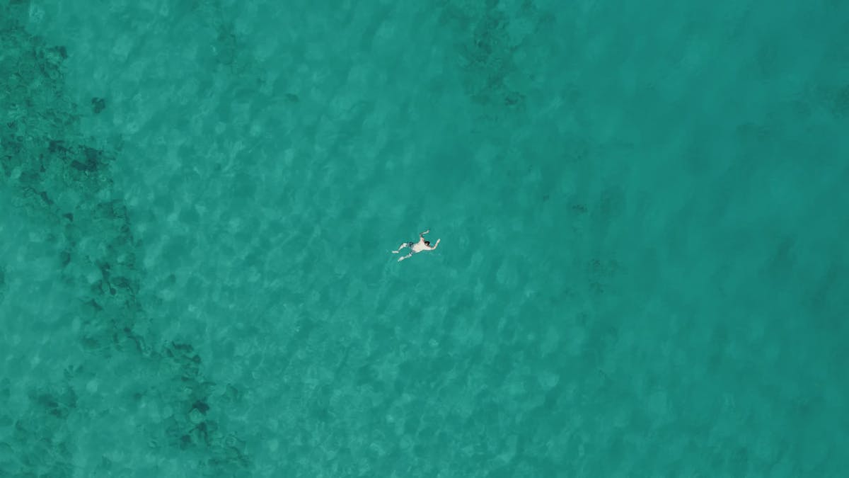 Unsplash Video Videos, Download The BEST Free 4k Stock Video Footage ...