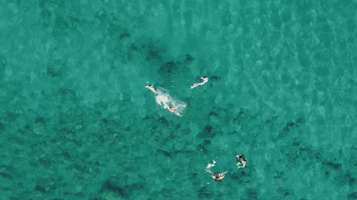 Unsplash Video Videos, Download The BEST Free 4k Stock Video Footage ...