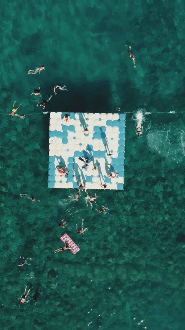 Unsplash Video Videos, Download The BEST Free 4k Stock Video Footage ...