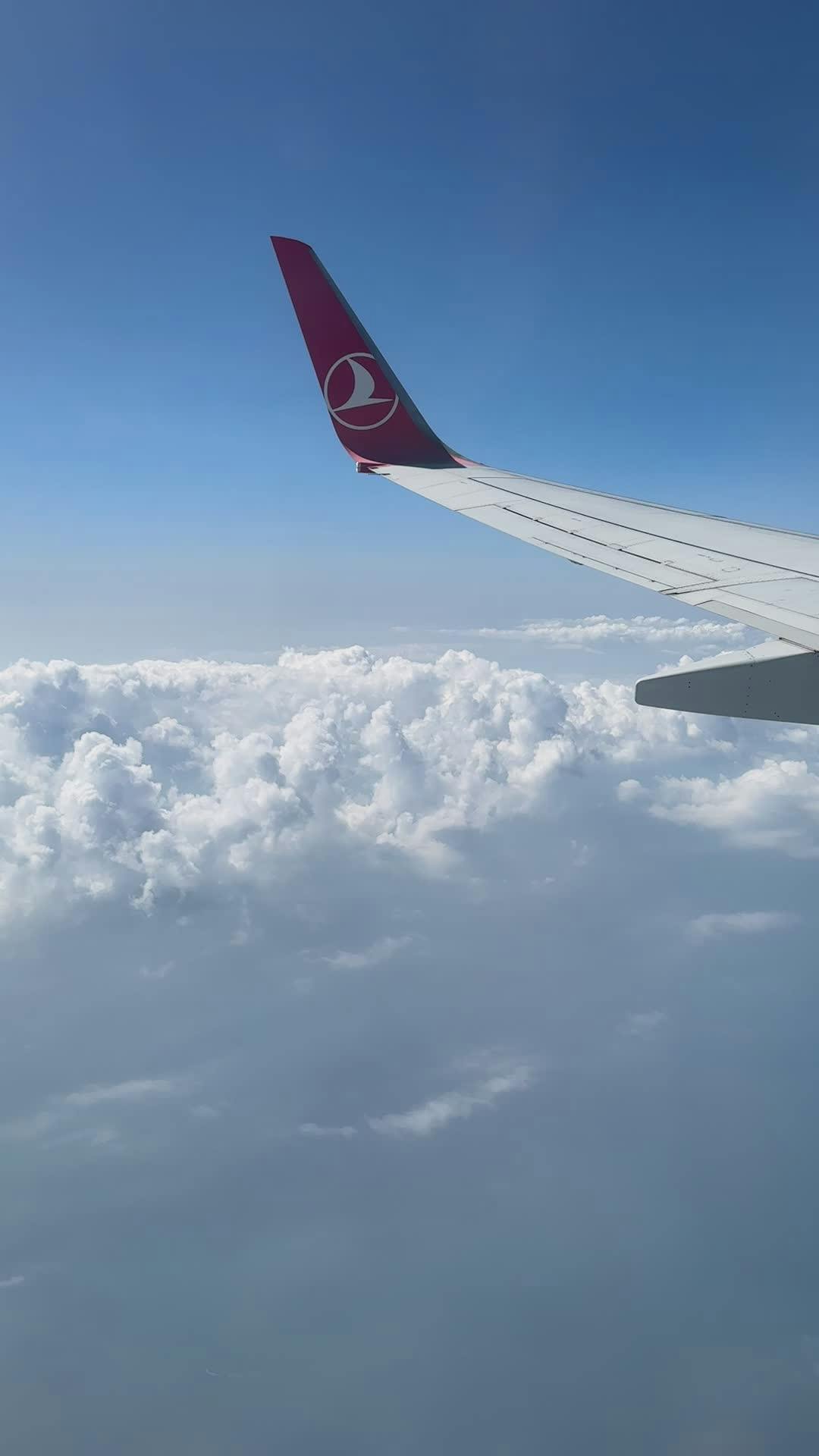 On The Airplane Videos, Download The BEST Free 4k Stock Video Footage ...