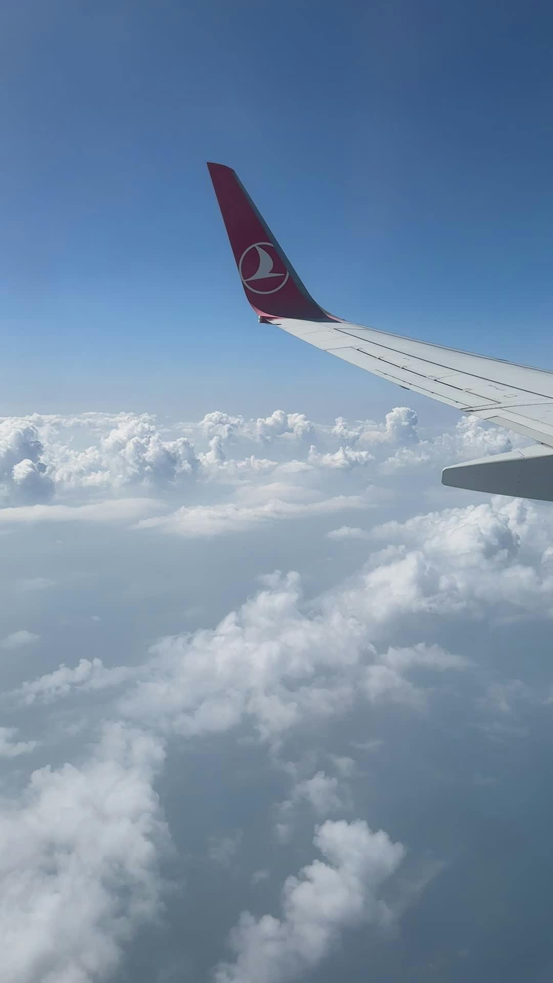 Airplane Wing View Above the Clouds in Daytime Free Stock Video Footage ...