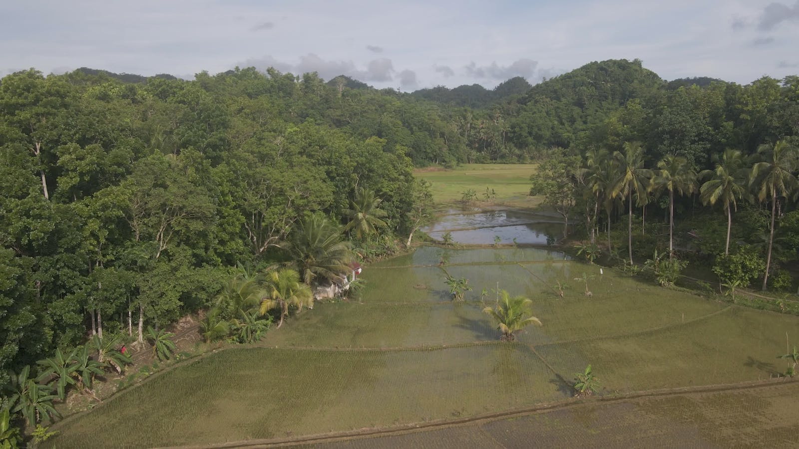 Sexy+Video+Saree+Wali+Moti+Aurat+Ki Videos, Download The BEST Free 4k Stock Video Footage & Sexy ...