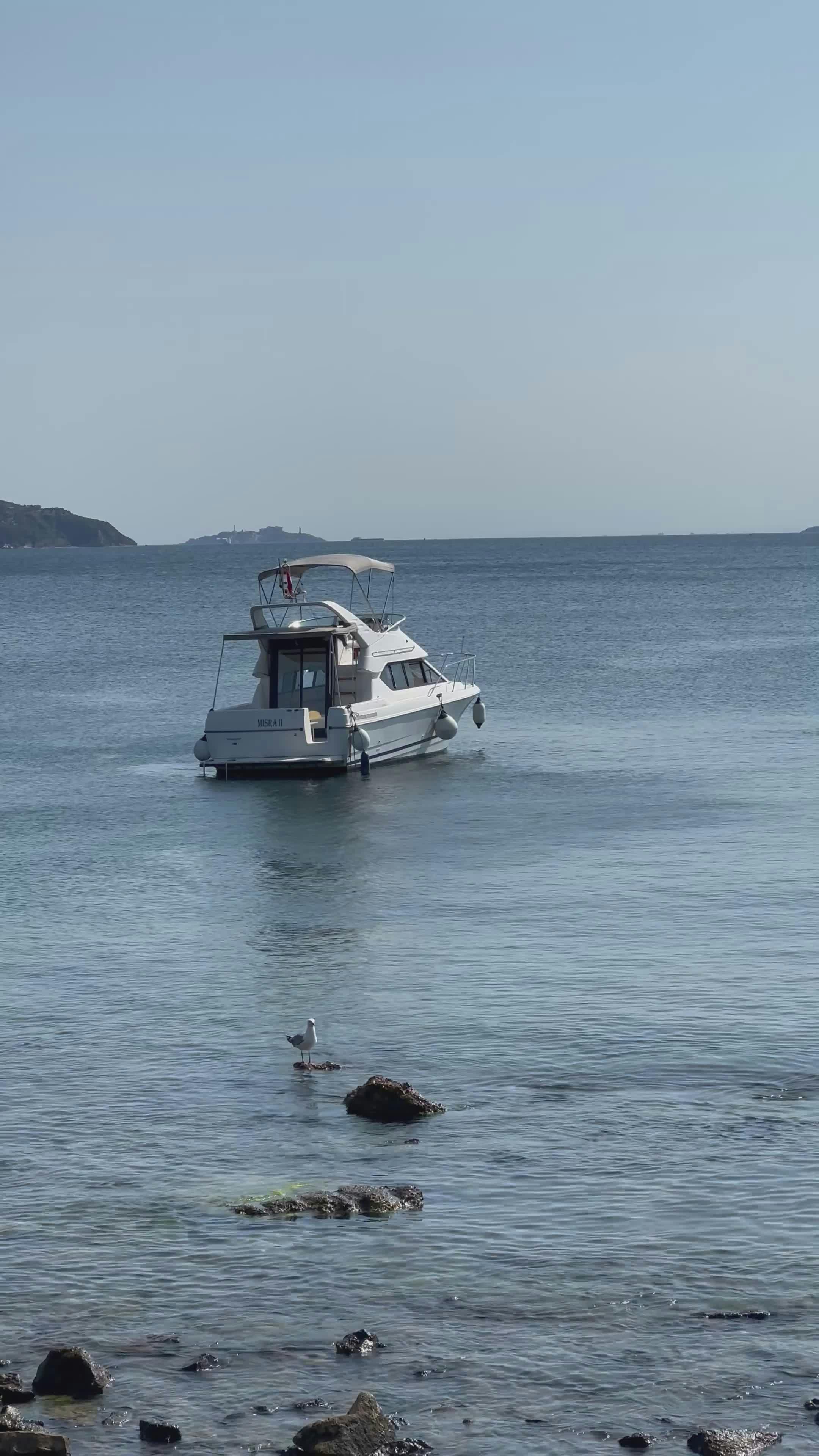 Ship Captain Videos, Download The BEST Free 4k Stock Video Footage ...