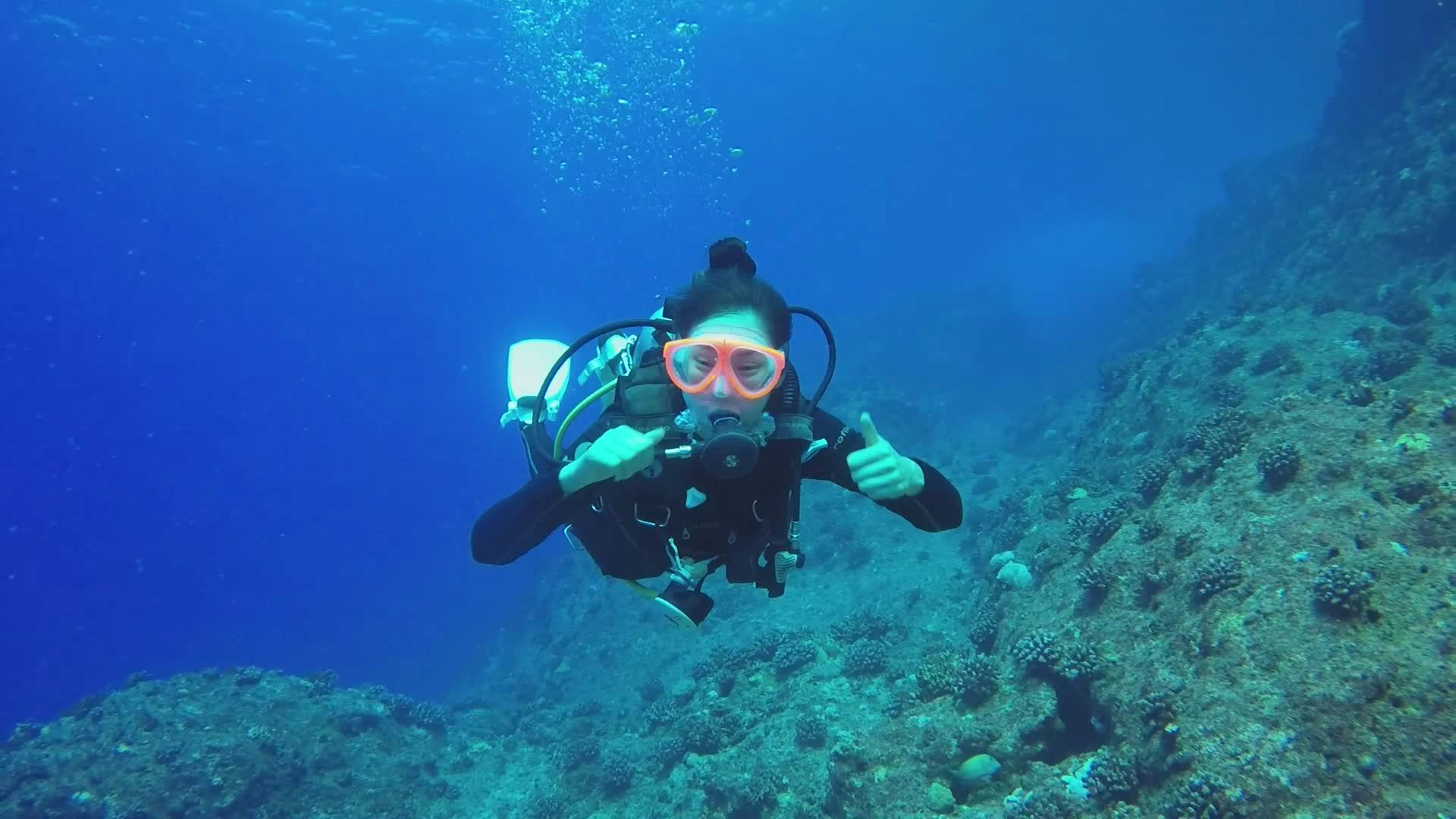 Underwater Scuba Diving Adventure in Vibrant Ocean Free Stock Video ...
