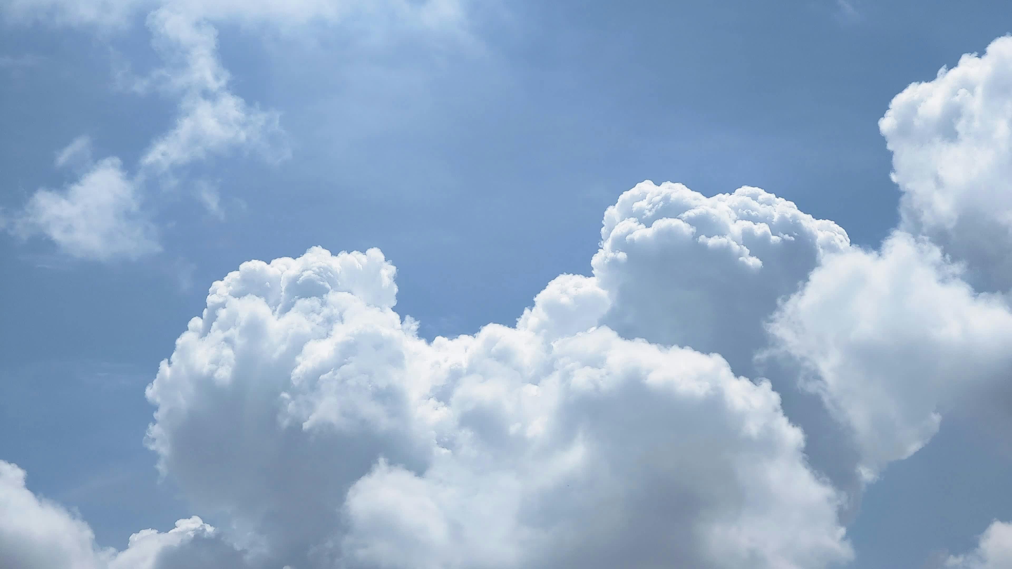 Times Bestselling Videos, Download The BEST Free 4k Stock Video Footage ...