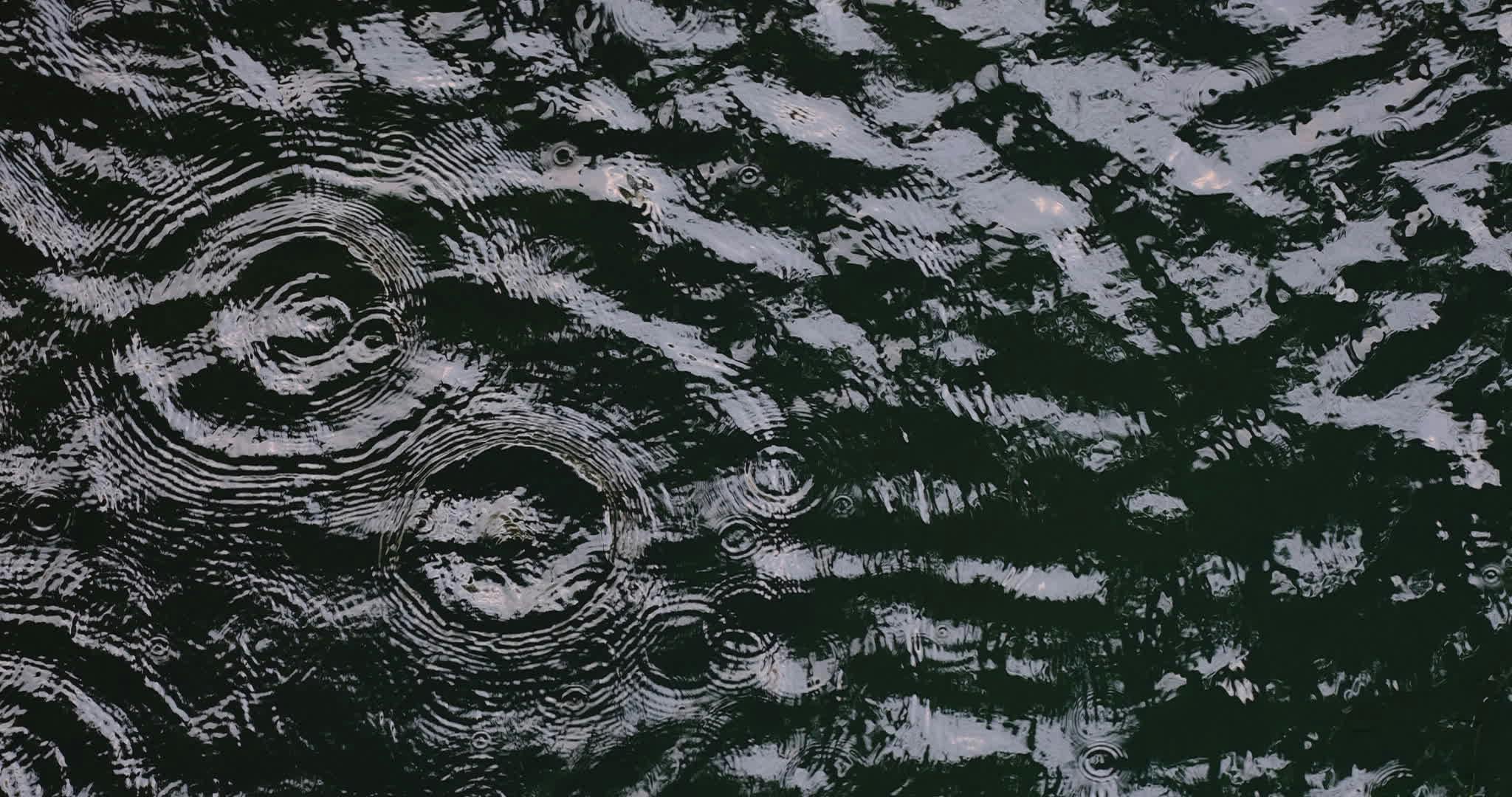 Motion Backgrounds Videos, Download The BEST Free 4k Stock Video ...