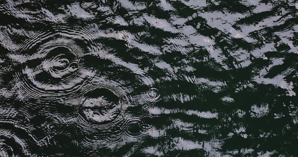 Motion Backgrounds Videos, Download The BEST Free 4k Stock Video ...