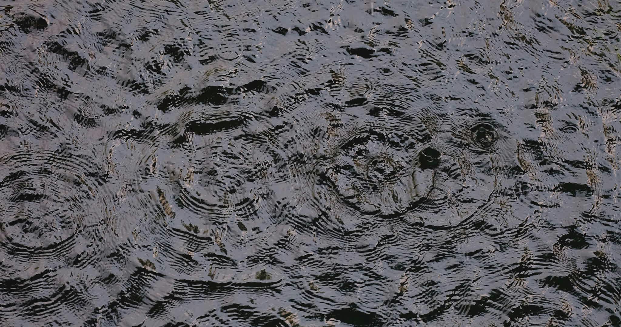 Calming Rainfall on Rippling Water Surface Free Stock Video Footage ...