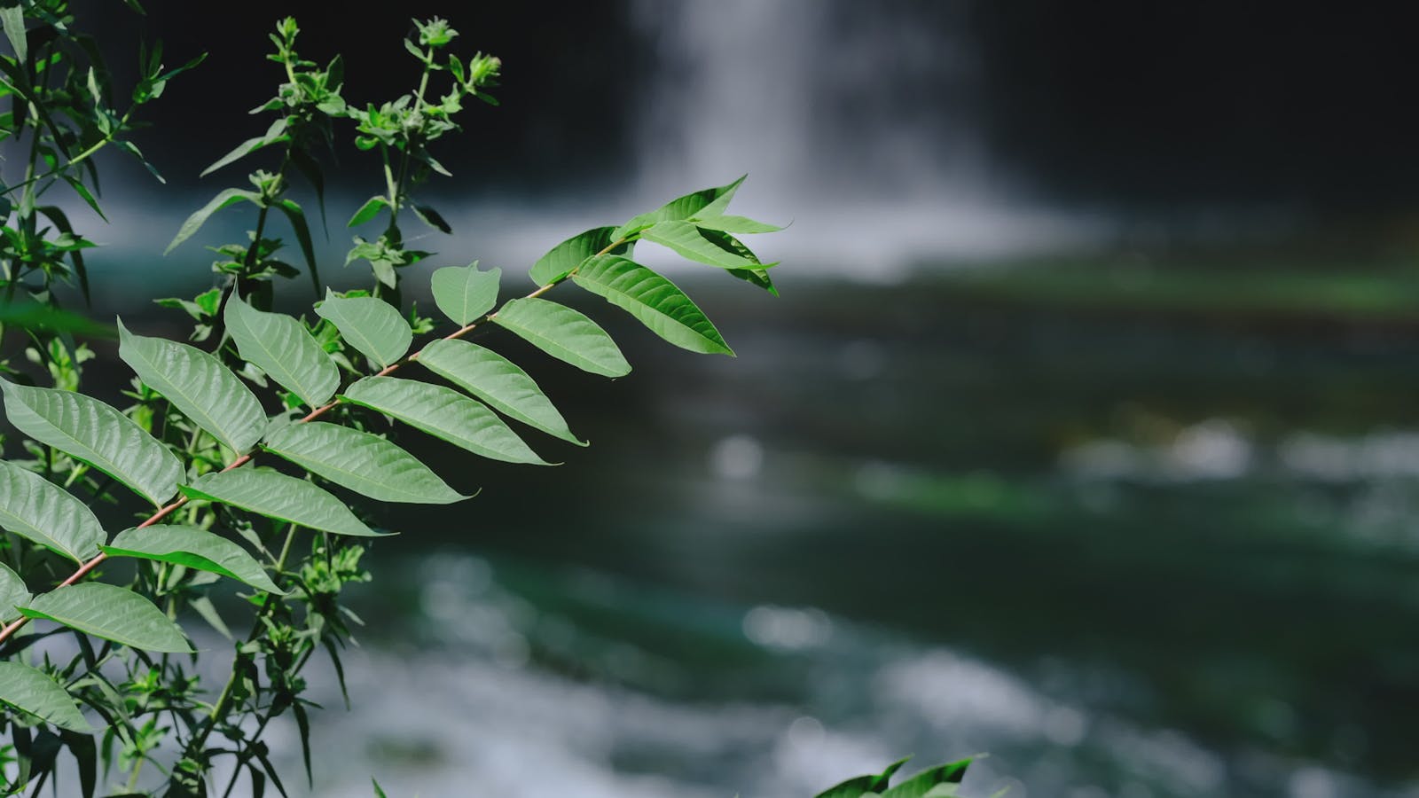 Calming Nature Videos, Download The BEST Free 4k Stock Video Footage ...