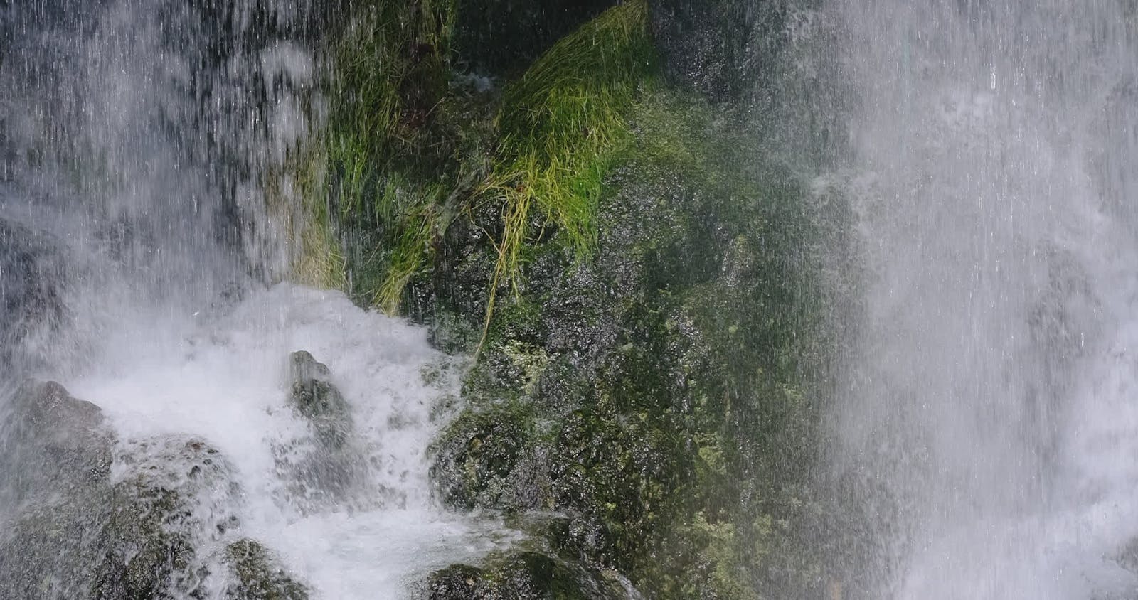 Calming Nature Videos, Download The BEST Free 4k Stock Video Footage ...