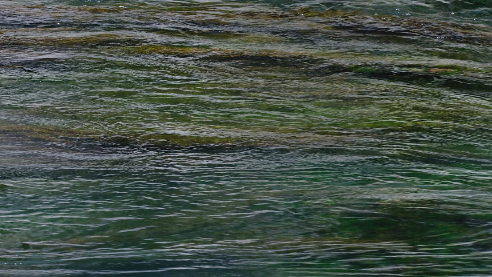 Calming Nature Videos, Download The BEST Free 4k Stock Video Footage ...