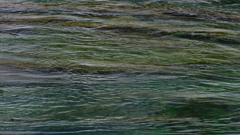 Calming Nature Videos, Download The BEST Free 4k Stock Video Footage ...