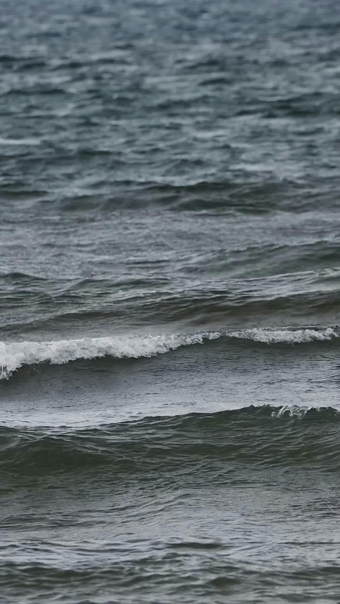 Calming Nature Videos, Download The BEST Free 4k Stock Video Footage ...