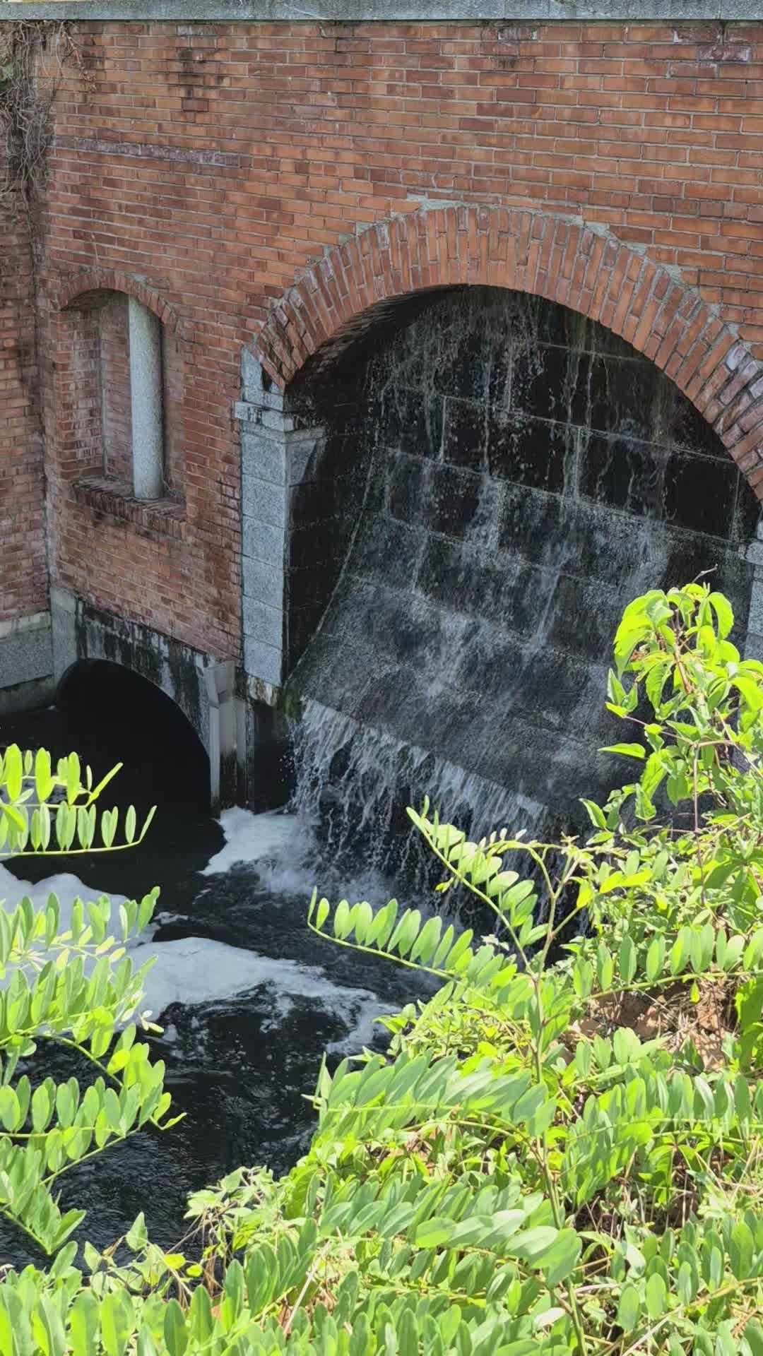 Rushing Water Flowing through Rustic Waterway Free Stock Video Footage ...