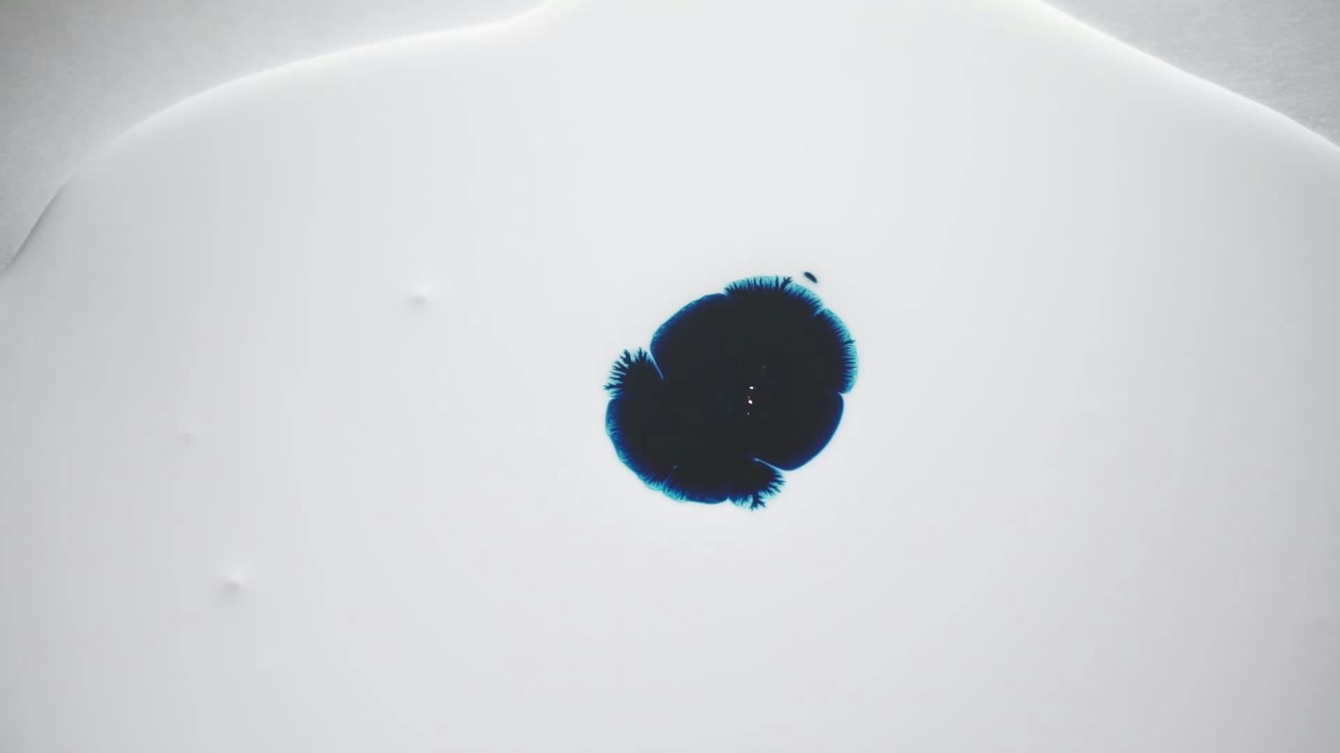 Mesmerizing Fluid Dynamics Experiment Unfolds Free Stock Video Footage ...