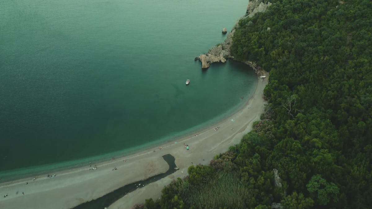 Royalty Free Videos, Download The BEST Free 4k Stock Video Footage ...