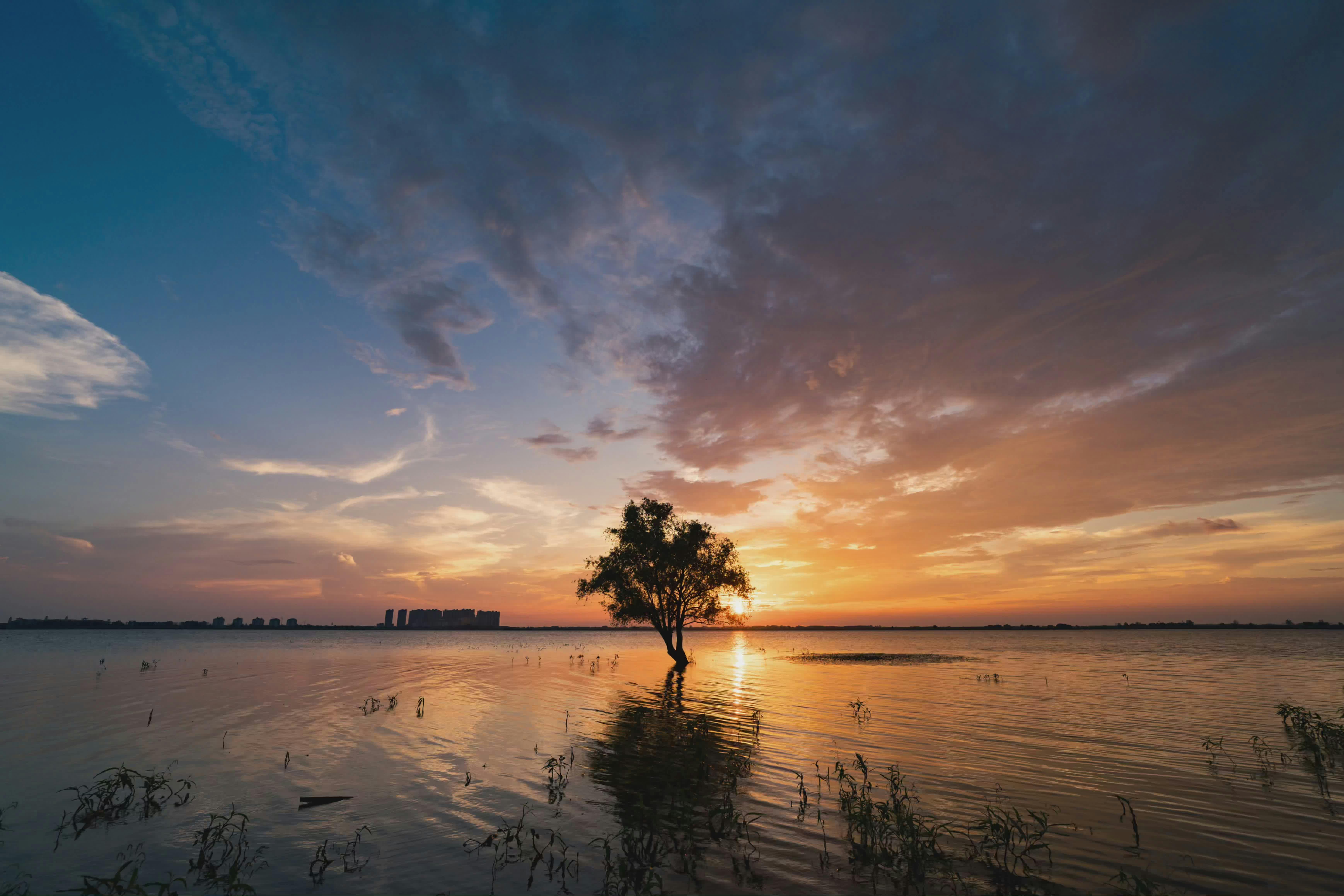 Serene Sunset Over Lone Tree in Tranquil Lake Free Stock Video Footage ...