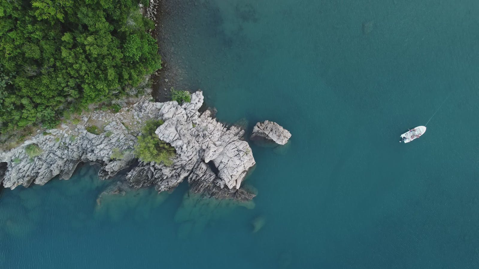 Royalty Free Videos, Download The BEST Free 4k Stock Video Footage ...