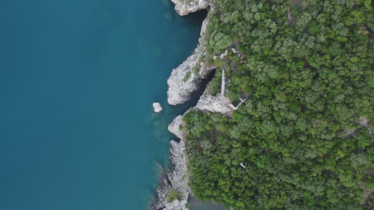 Royalty Free Videos, Download The BEST Free 4k Stock Video Footage ...