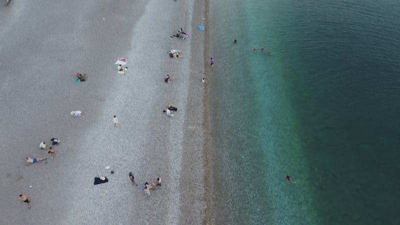 Royalty Free Videos, Download The BEST Free 4k Stock Video Footage ...