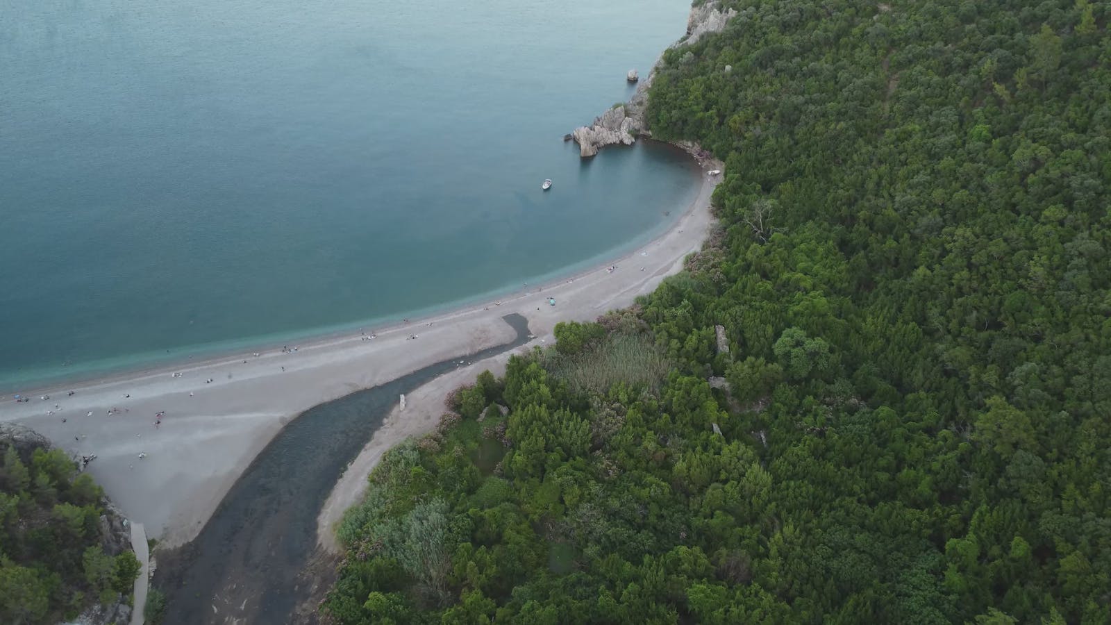 Royalty Free Videos, Download The BEST Free 4k Stock Video Footage ...