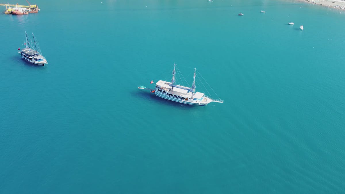 Frolic+Me+Full+Video Videos, Download The BEST Free 4k Stock Video ...