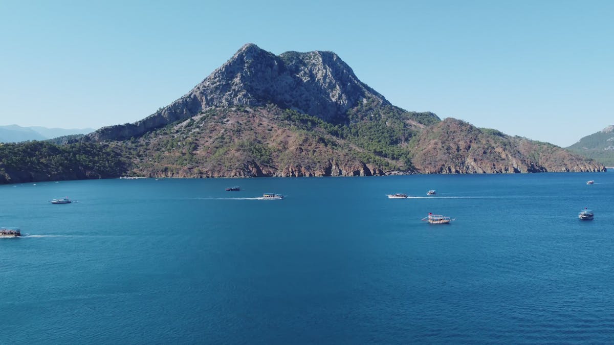 Frolic+Me+Full+Video Videos, Download The BEST Free 4k Stock Video ...