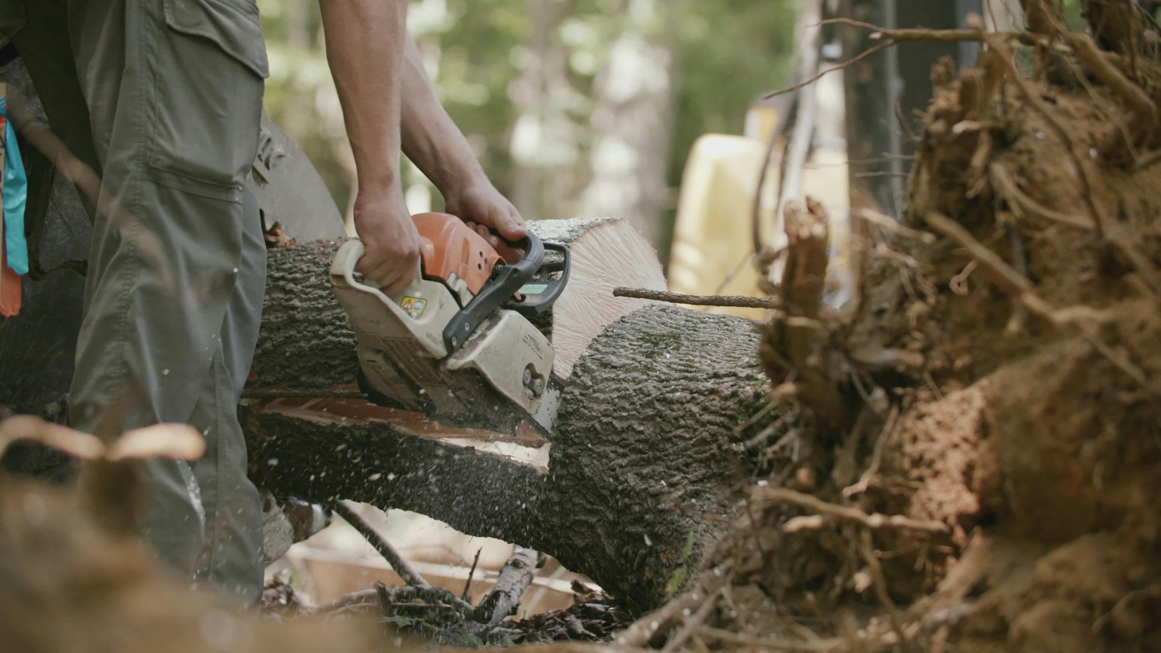 Chainsaw Cutting Fallen Tree in Forest Free Stock Video Footage ...