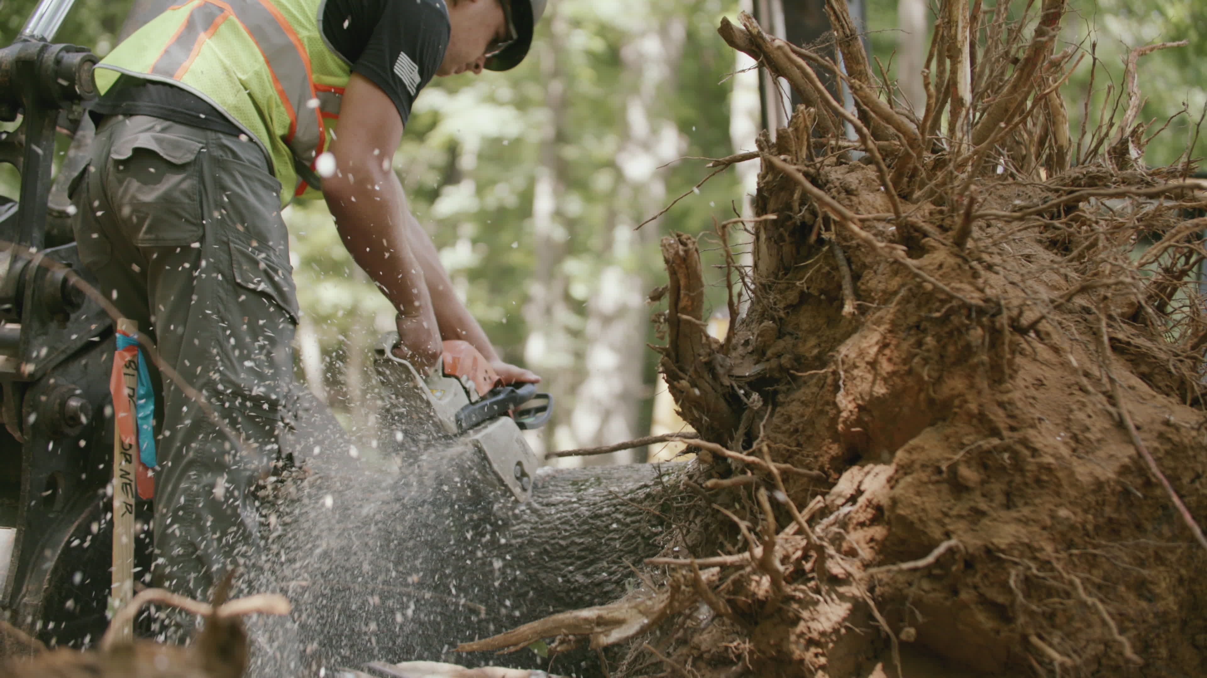 Man Using Chainsaw to Cut Fallen Tree in Forest Free Stock Video ...