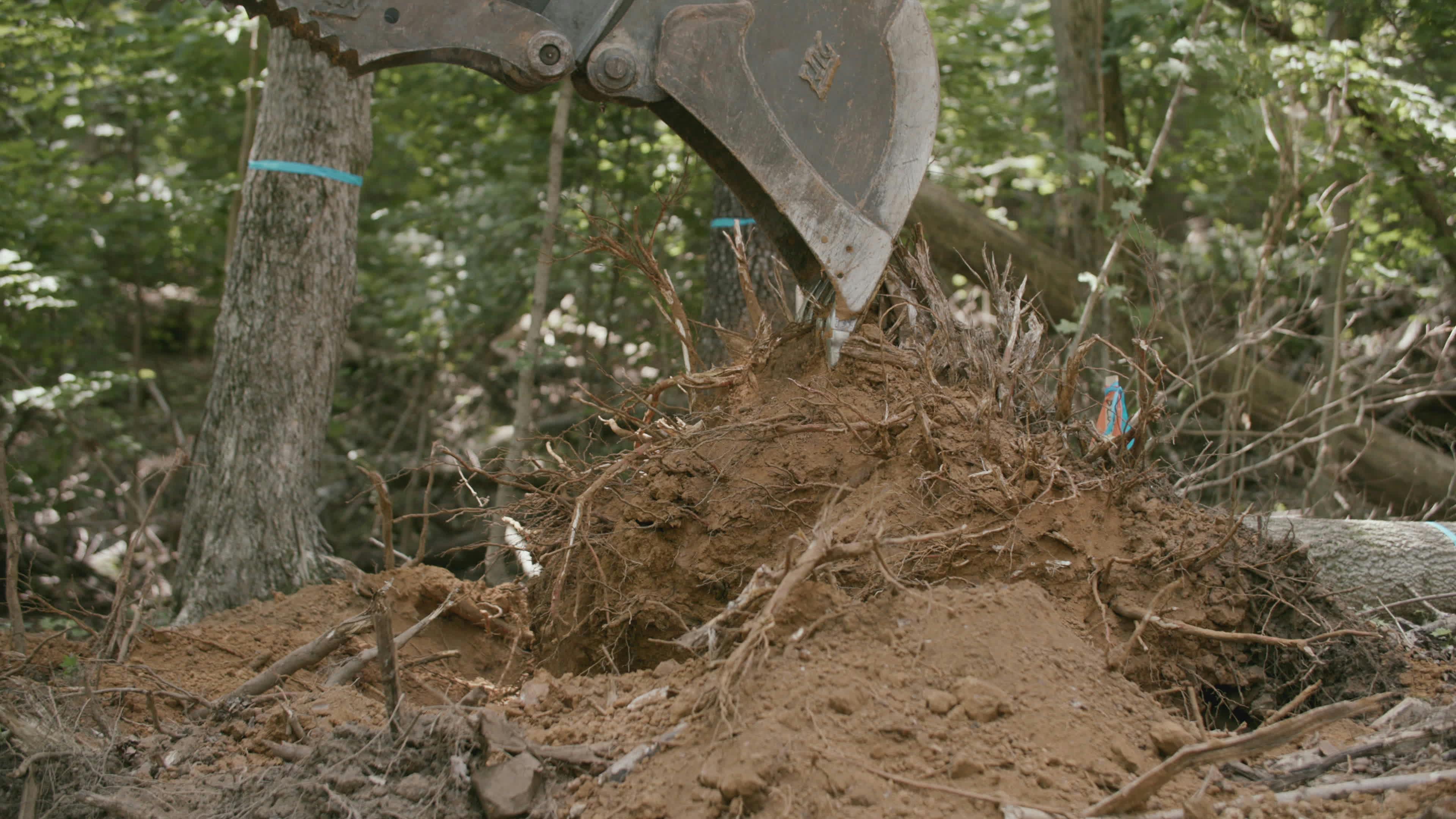 Webcam+Brush+Bate Videos, Download The BEST Free 4k Stock Video Footage & Webcam+Brush+Bate HD ...