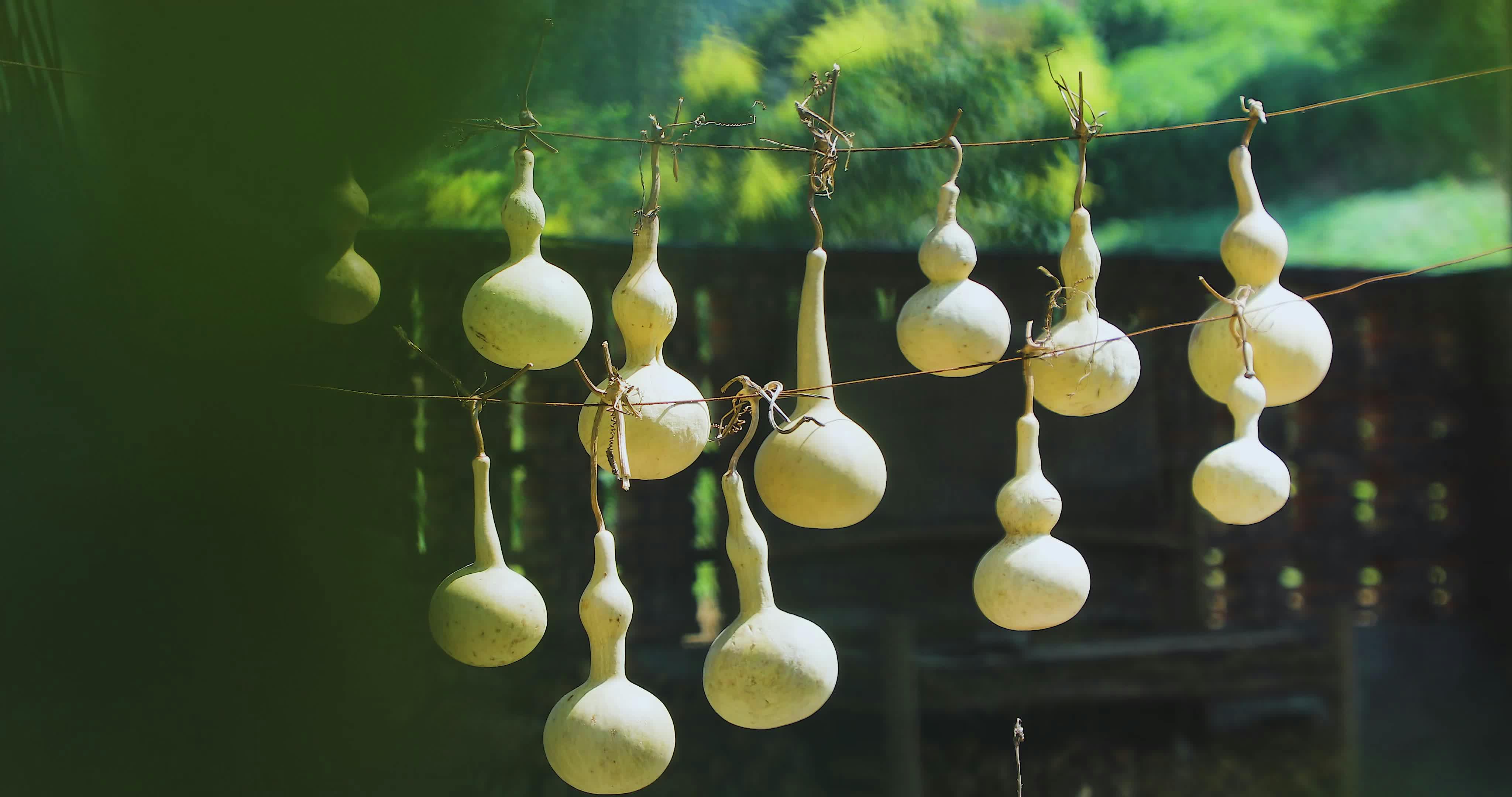 100,000+个最精彩的“Yellow Plan Background”视频 · 100%免费下载 · Pexels素材视频