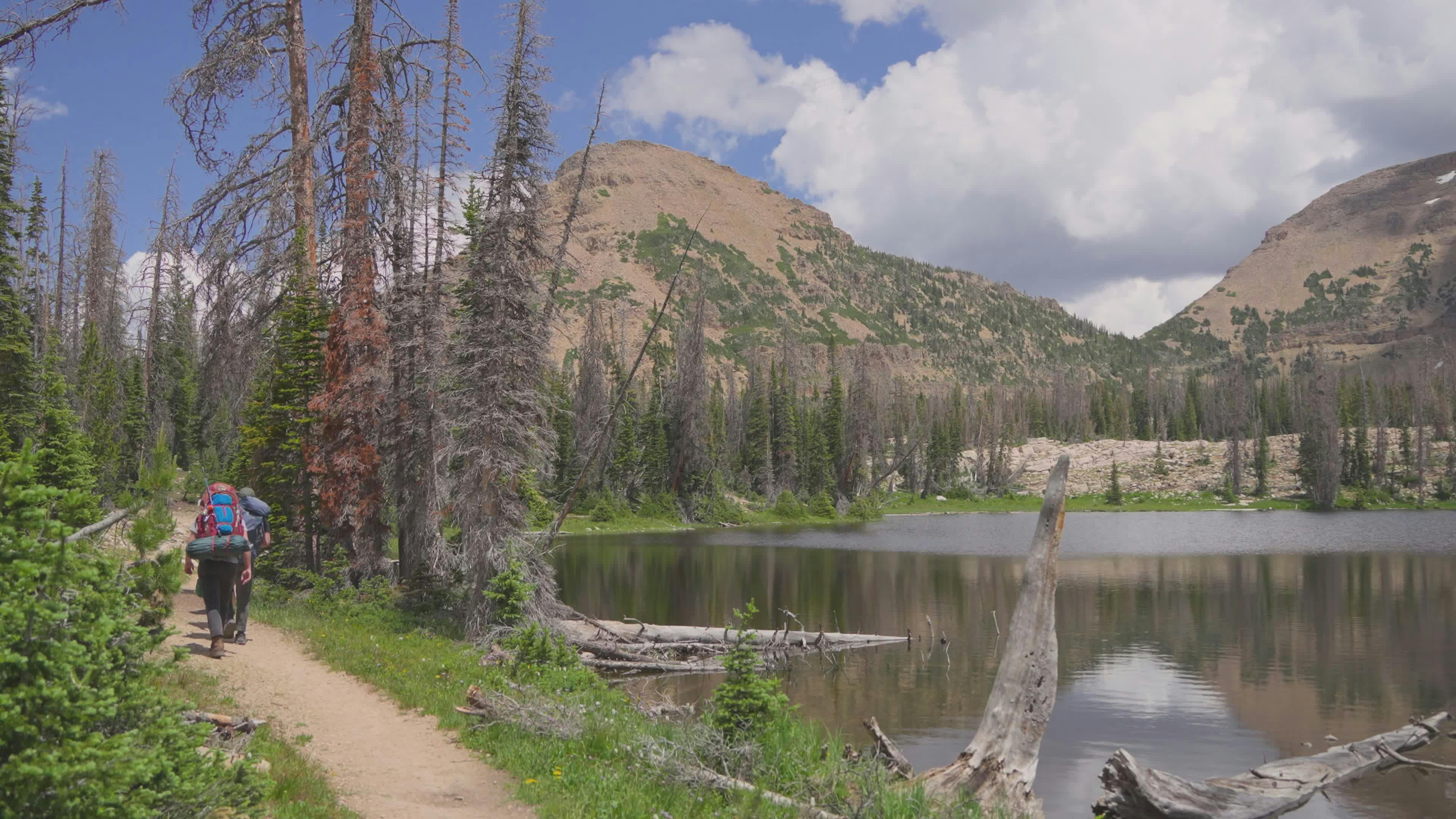 Pcpt Uinta Videos, Download The BEST Free 4k Stock Video Footage & Pcpt ...